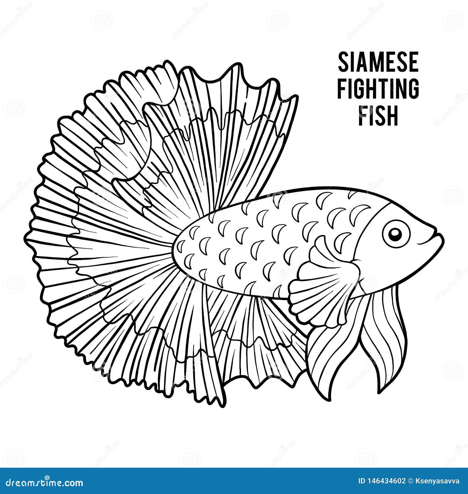 Coloring Book, Siamese Fighting Fish Stock Vector - Illustration of ...