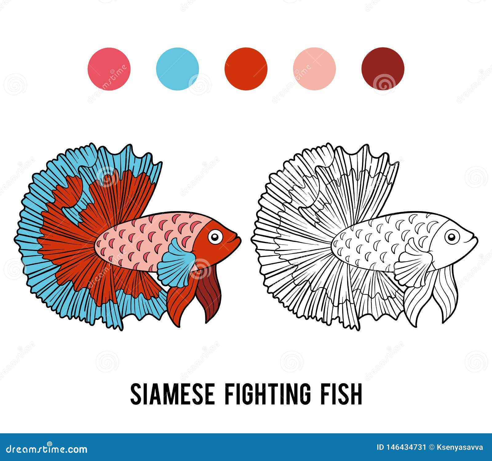 Coloring Book, Siamese Fighting Fish Stock Vector - Illustration of ...
