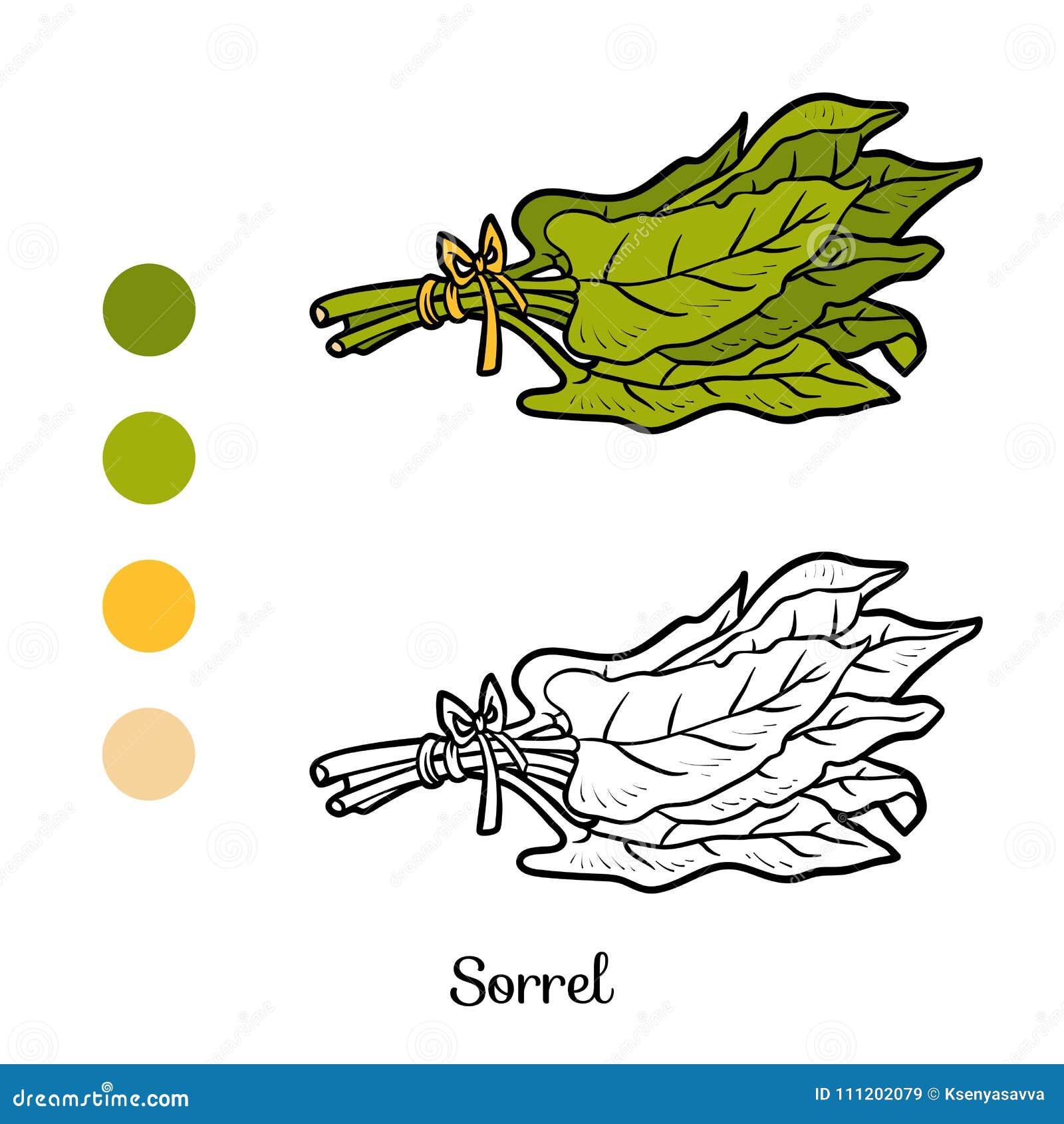 Coloring book, Sorrel stock vector. Illustration of activity - 111202079