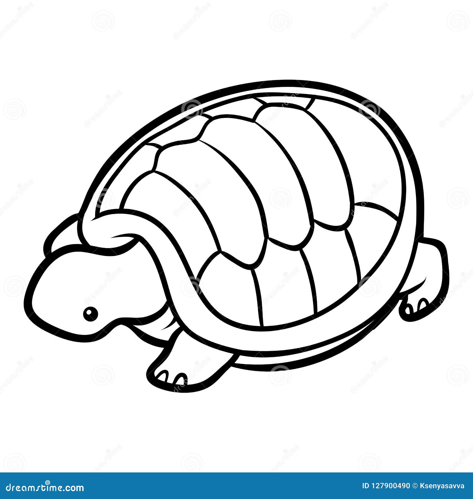 Coloring book, Tortoise stock vector. Illustration of colorful - 127900490