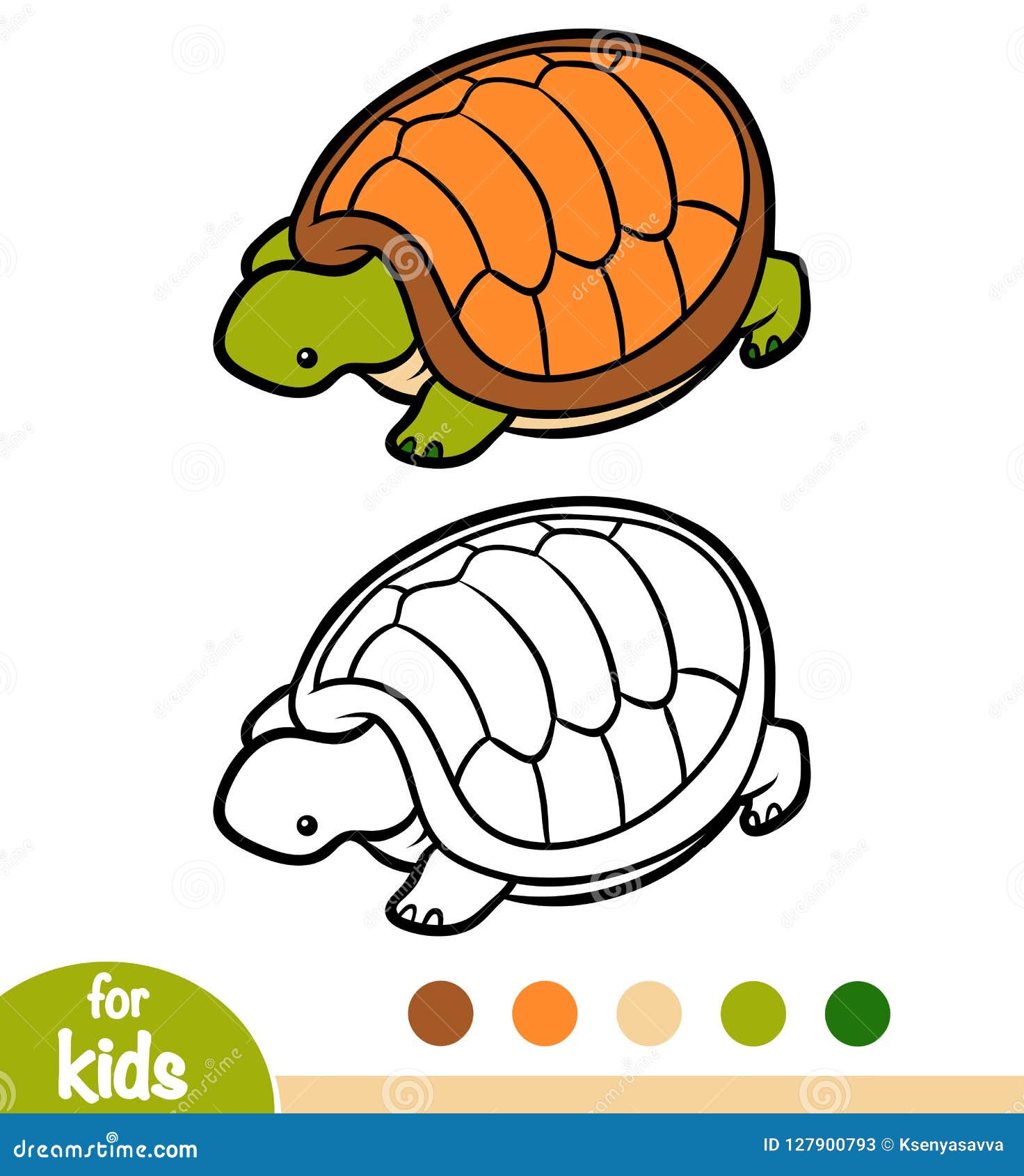 Coloring book, Tortoise stock vector. Illustration of kindergarten ...