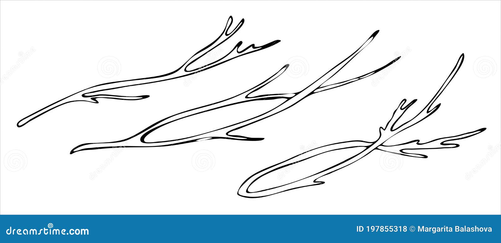 Coloring Book, Twig, Vector Set Element in Doodle Style Stock Vector ...