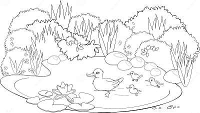 Coloring duck pond stock vector. Illustration of aquatic - 61553310