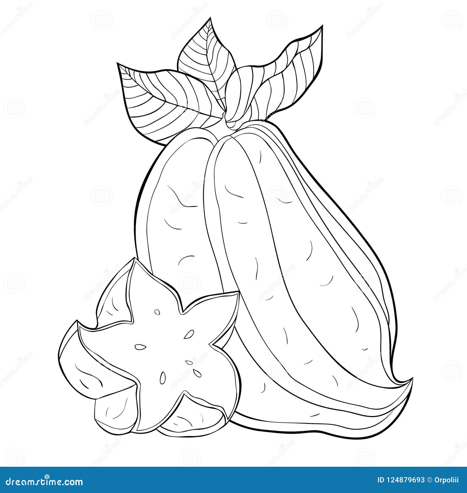 Starfruit Coloring Page. Line Art For Coloring Books For Adults. Vector ...
