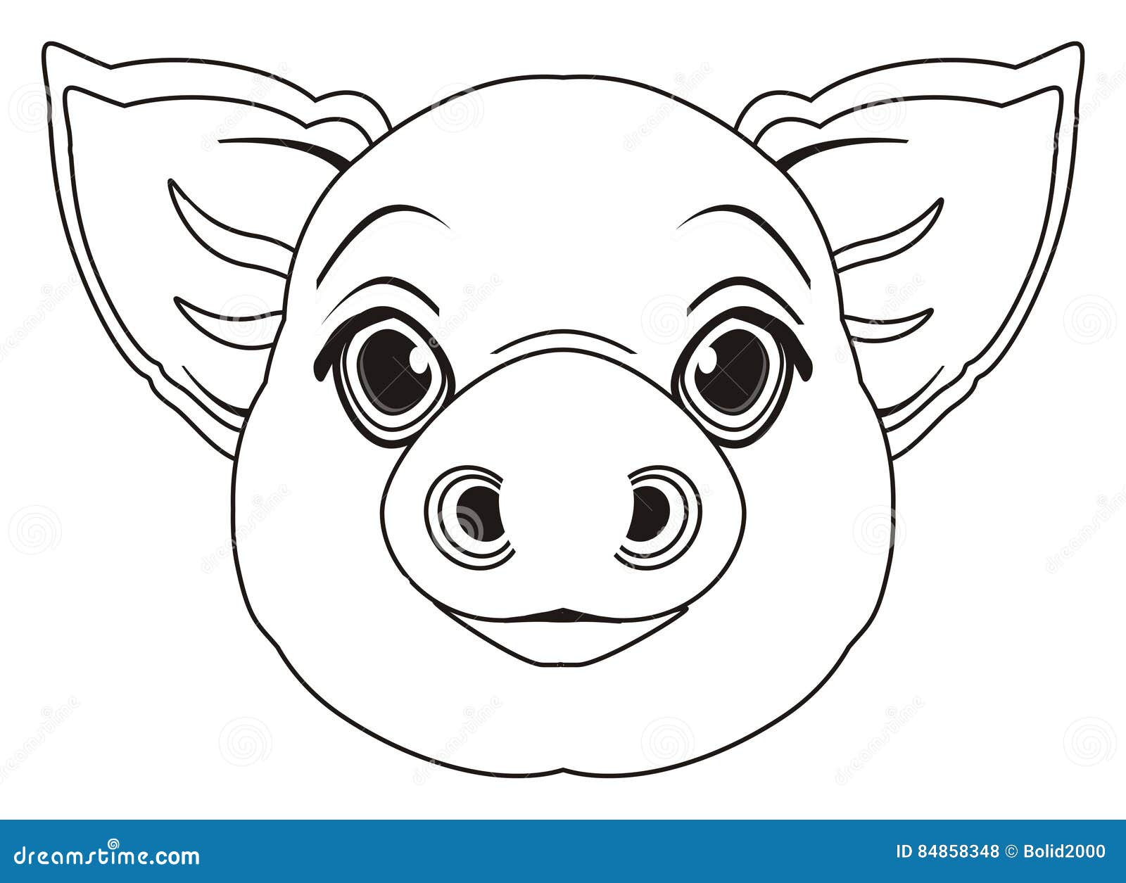 Colored Pig Head Coloring Coloring Pages