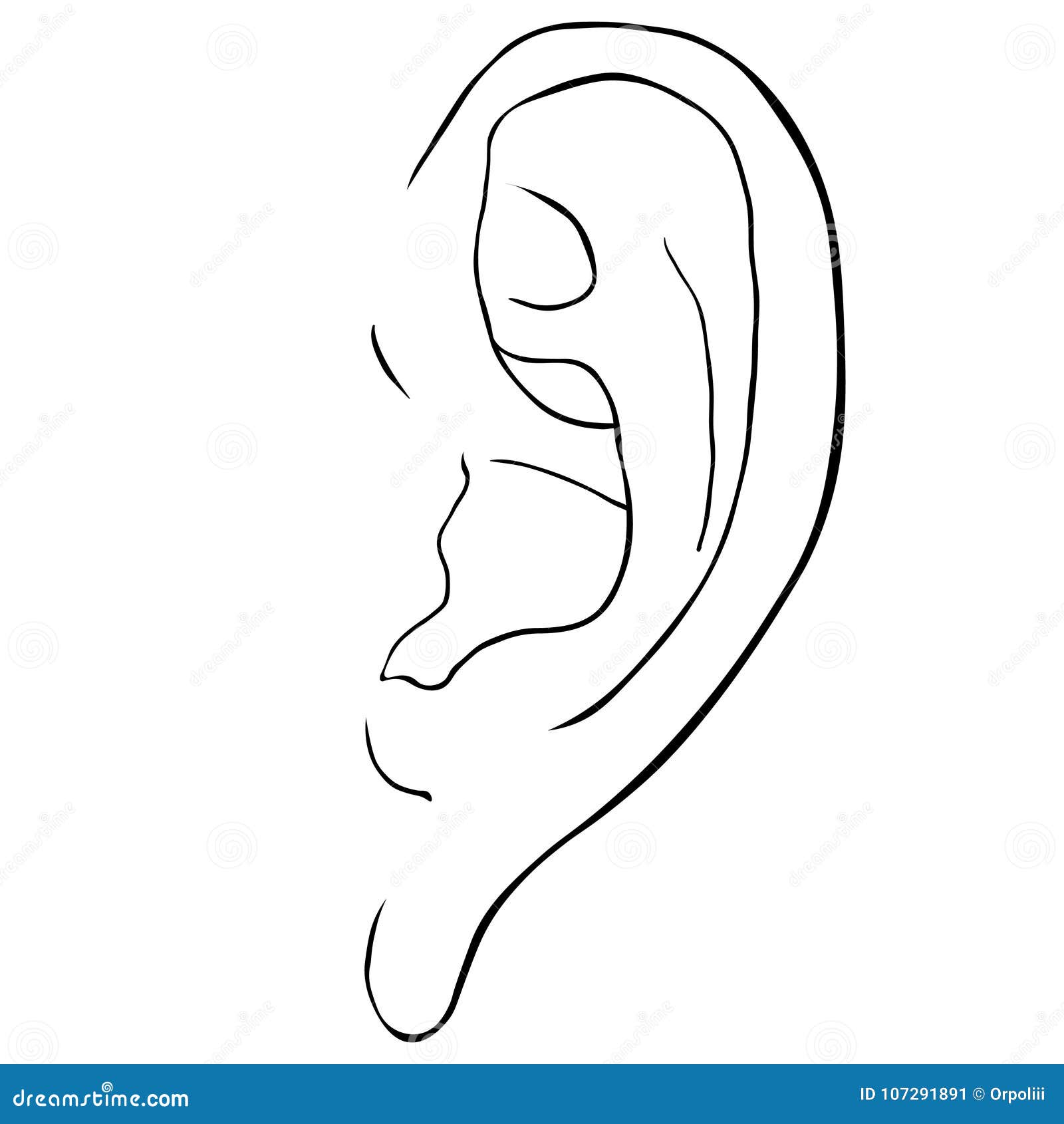 Coloring Human Ear Frontal View. Vector Illustration Stock Vector ...
