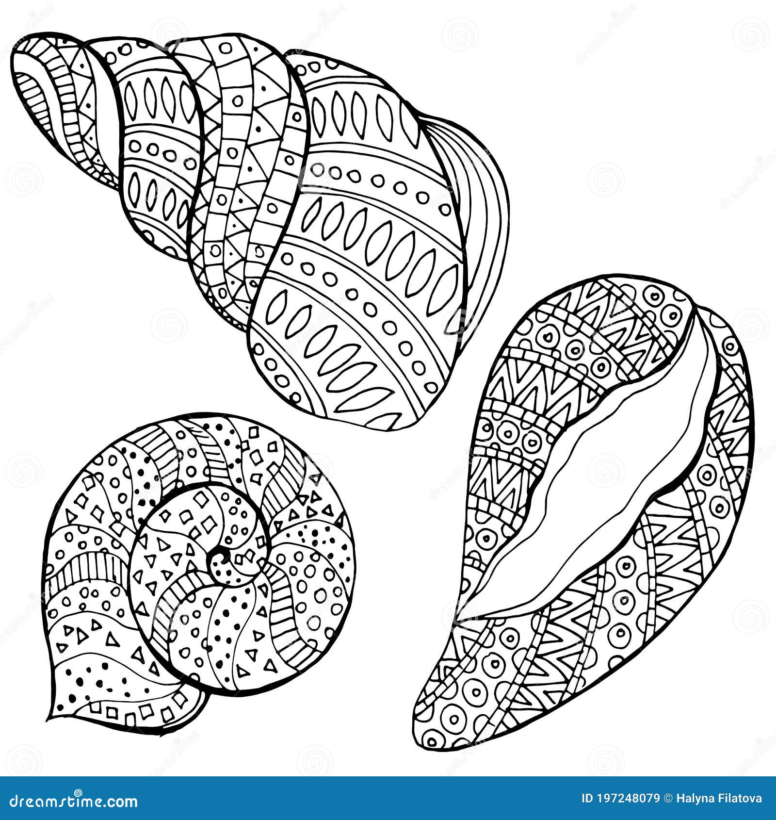 1611 Coloring, Isolate On A White Background, Drawing Sea Shells ...