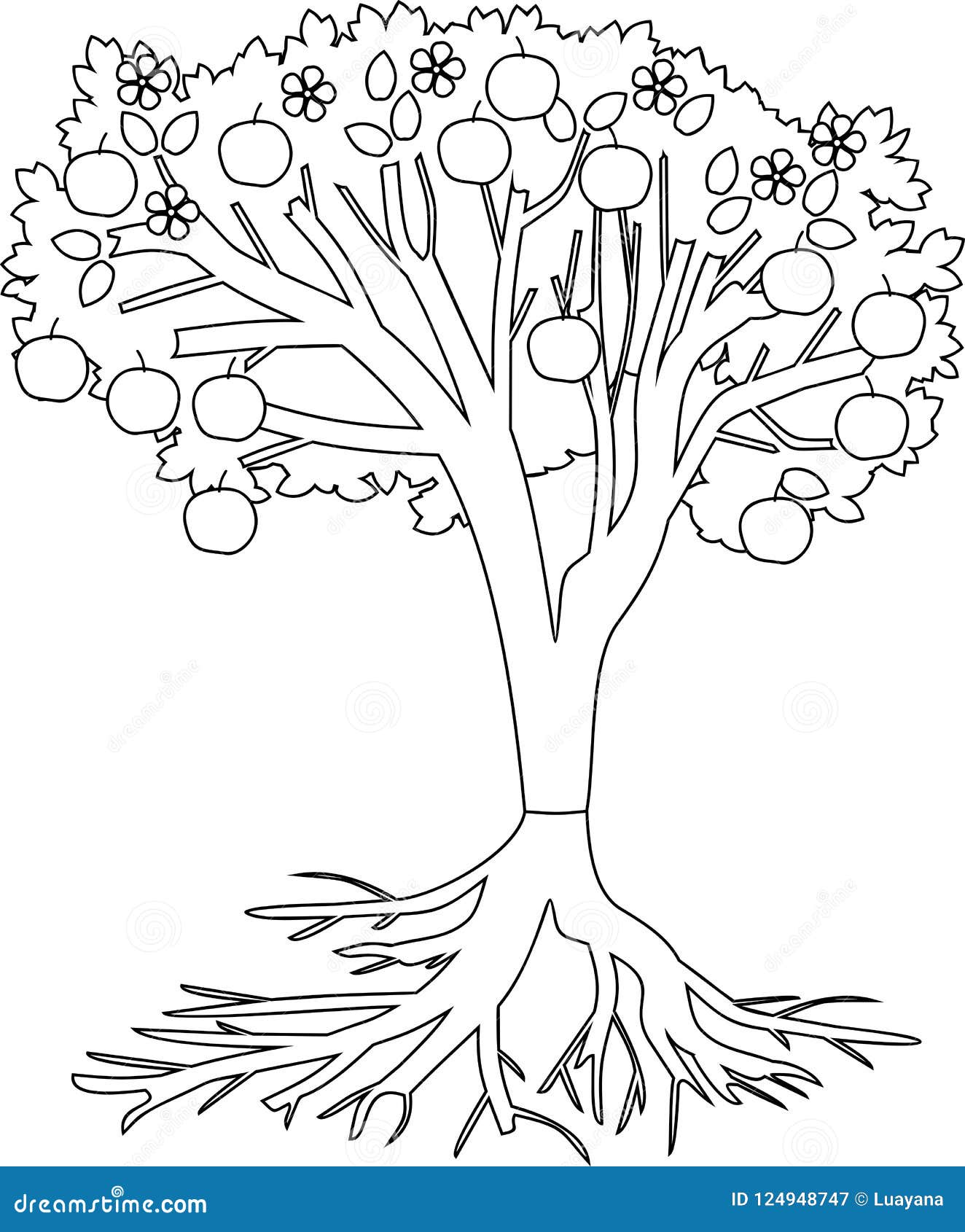 Coloring Page. Apple Tree with Root System and Fruits Stock Vector ...
