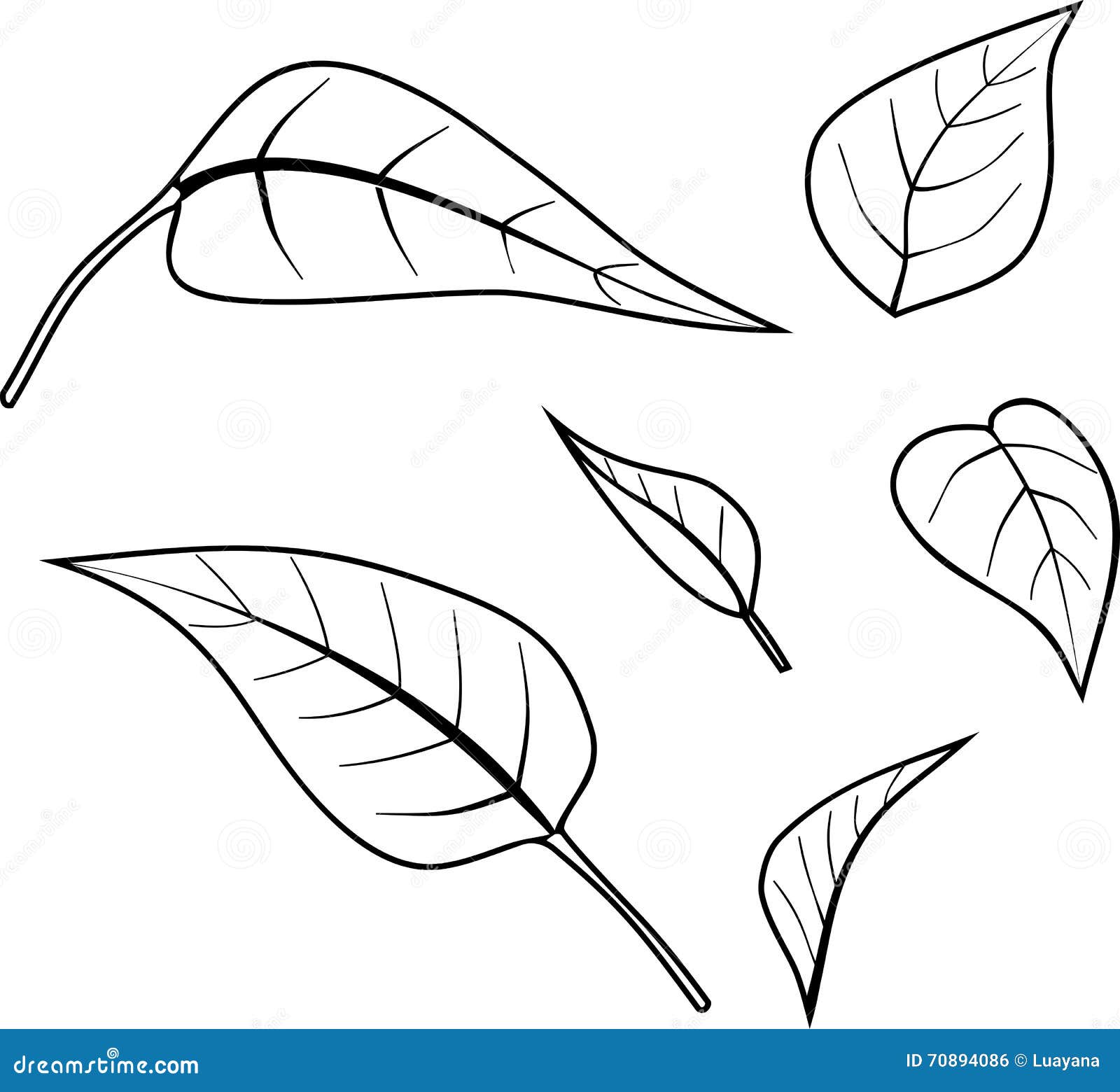 Coloring page with leaves stock vector. Illustration of flying - 70894086