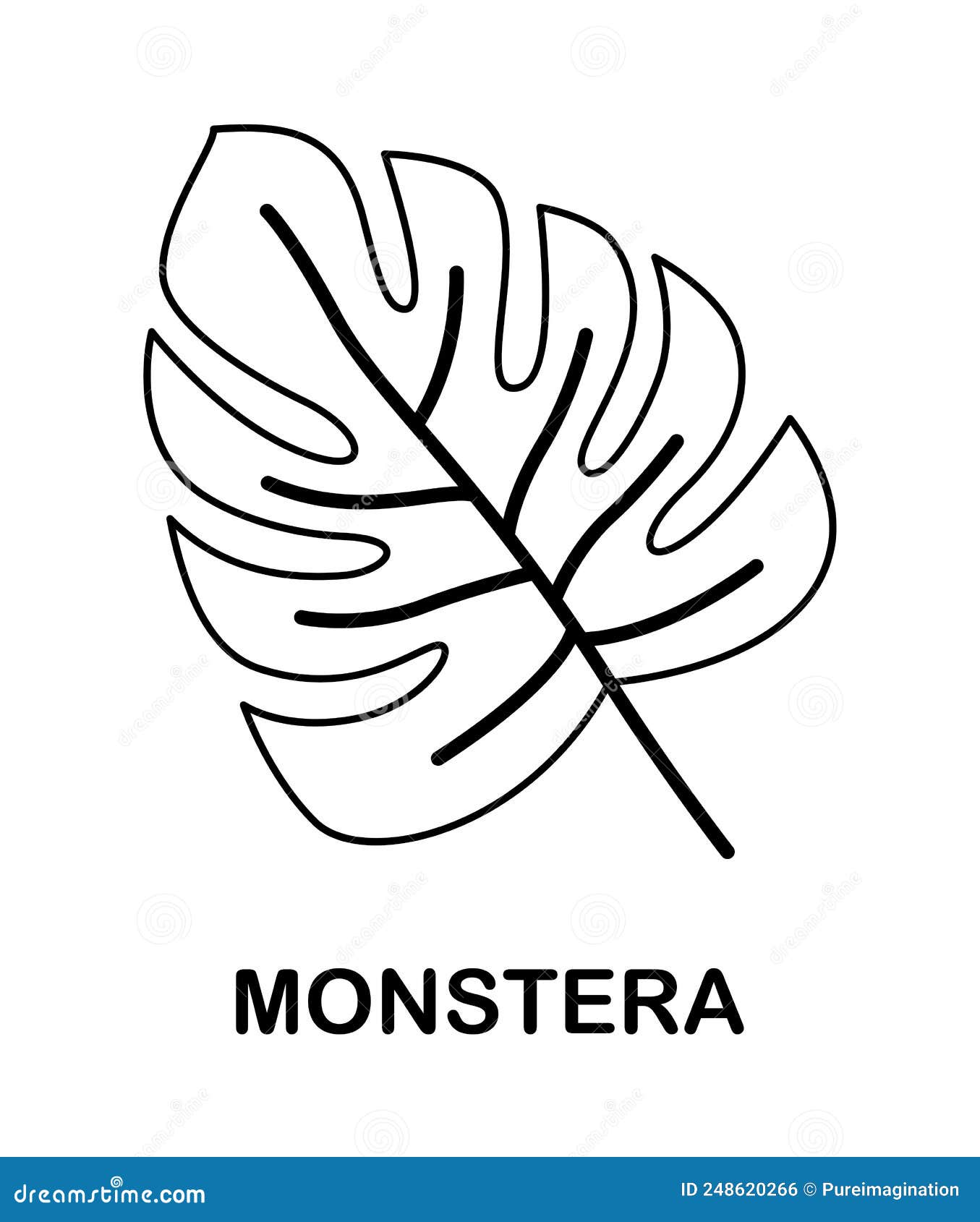 Coloring Page with Monstera for Kids Stock Vector - Illustration of ...