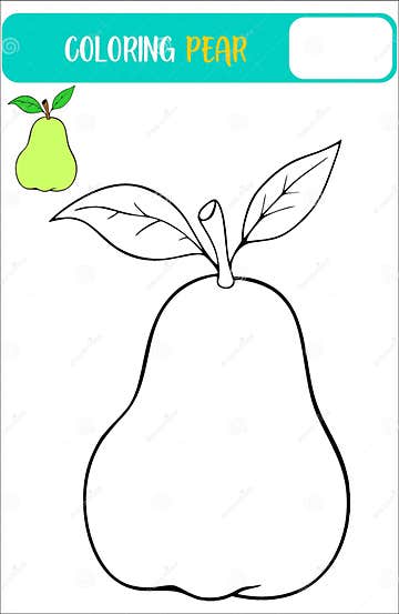 Coloring page pear fruit stock vector. Illustration of fruit - 269725847