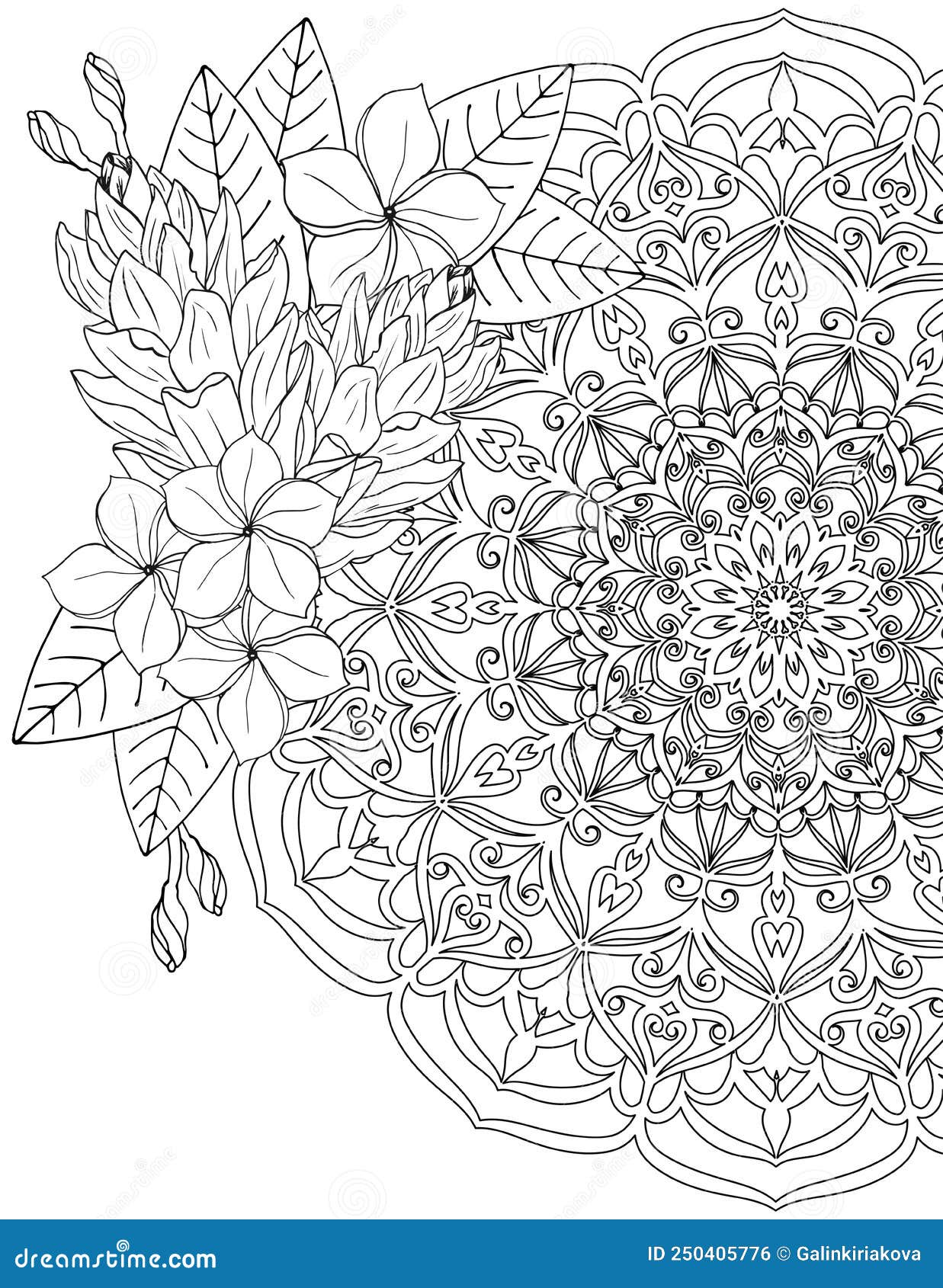 Coloring Page Tropical Flowers and Mandala Stock Vector - Illustration ...