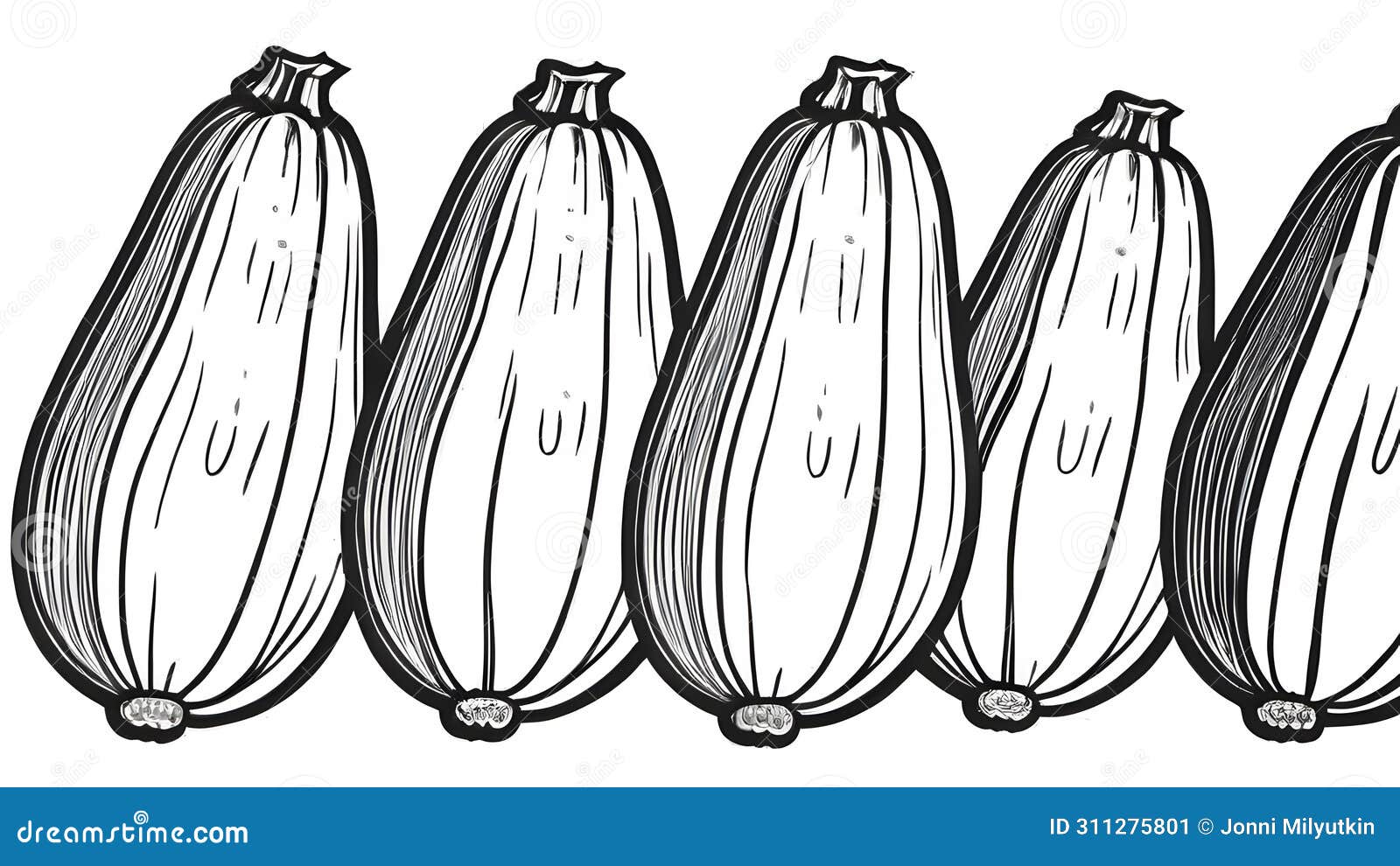 Coloring Page - Zucchini, Coloring Book Style, Stock Illustration ...