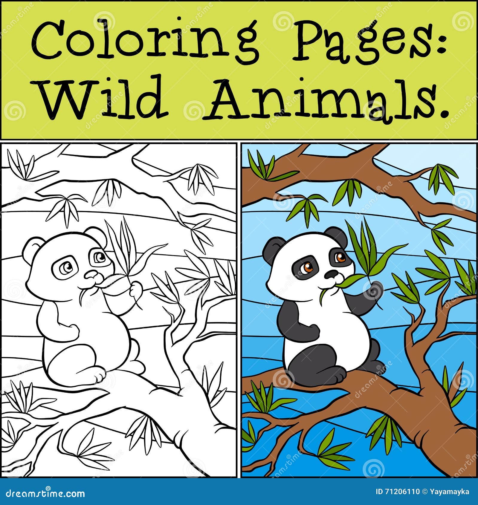 Coloring Pages: Wild Animals. Little Cute Panda. Stock Vector ...