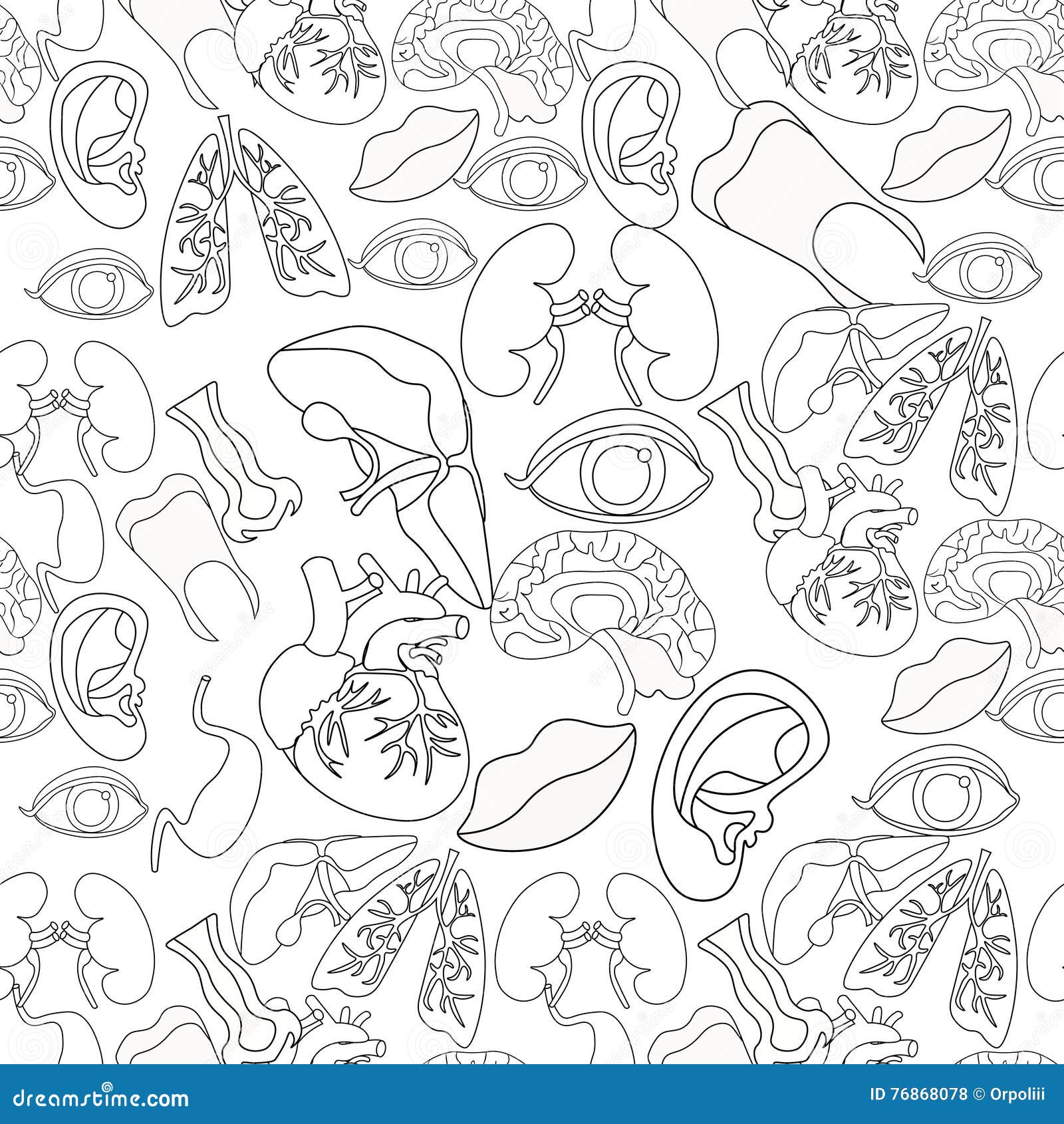 Coloring Seamless Pattern of Human Organs in the Body and Face. Stock ...