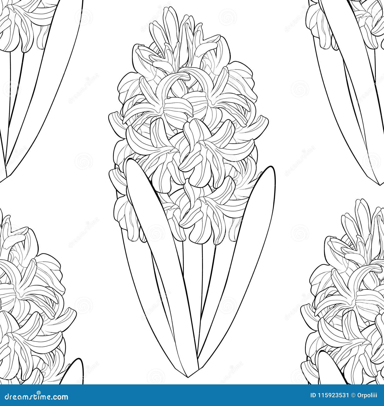 Hyacinth Coloring Pages Cartoon Vector | CartoonDealer.com #89284835