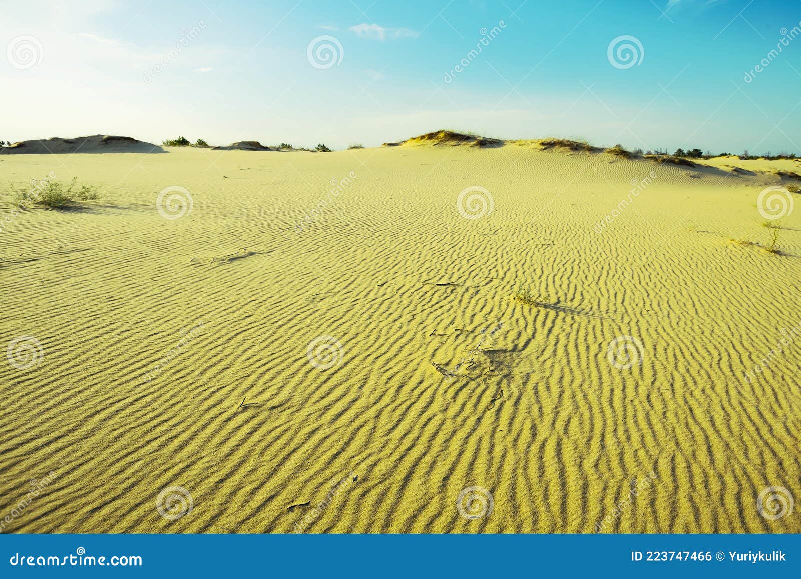 Colorized Sandy Desert Dune in Light of Sun Stock Photo - Image of ...