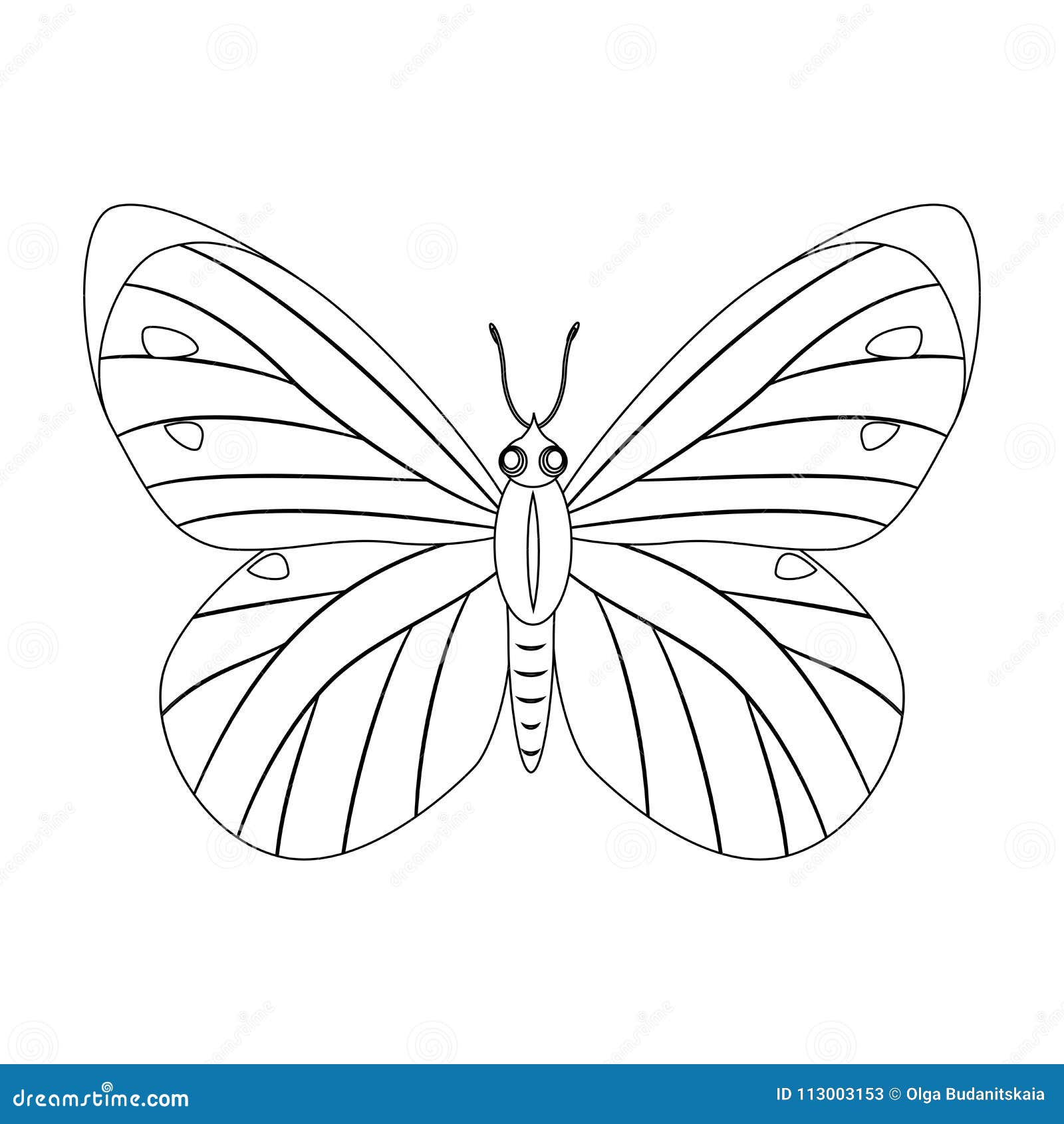 Colorless Butterfly Vector Illustration Isolated on White Background ...