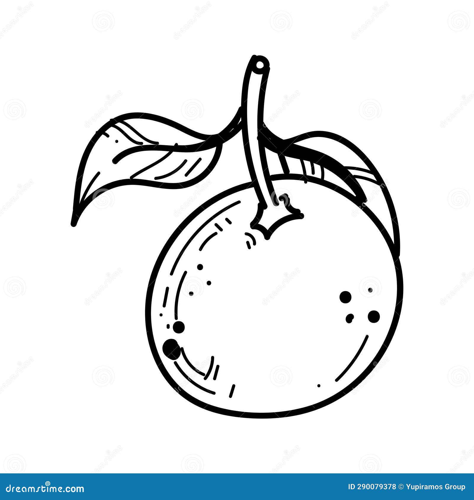 Colorless Orange Illustration Stock Vector - Illustration of health ...