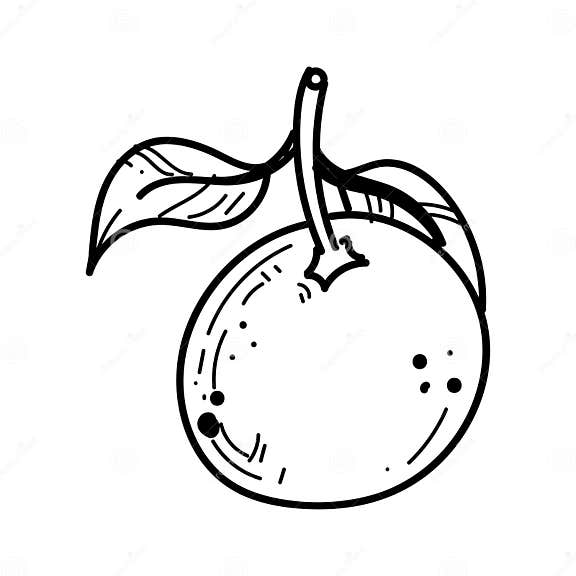 Colorless Orange Illustration Stock Illustration - Illustration of ...