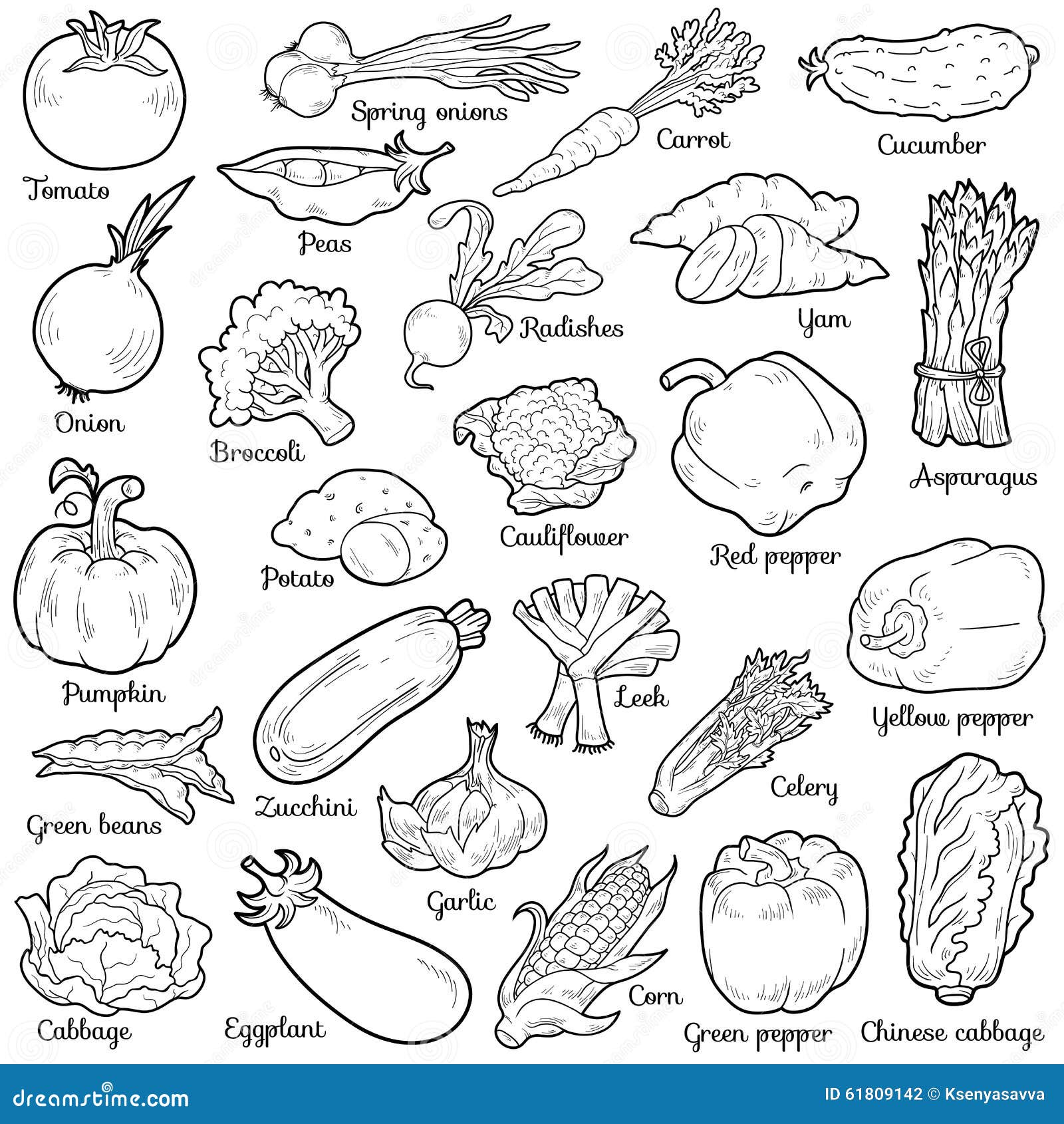 Set Of Vegetables. Vector Hand Drawing Sketch Illustration On Black ...