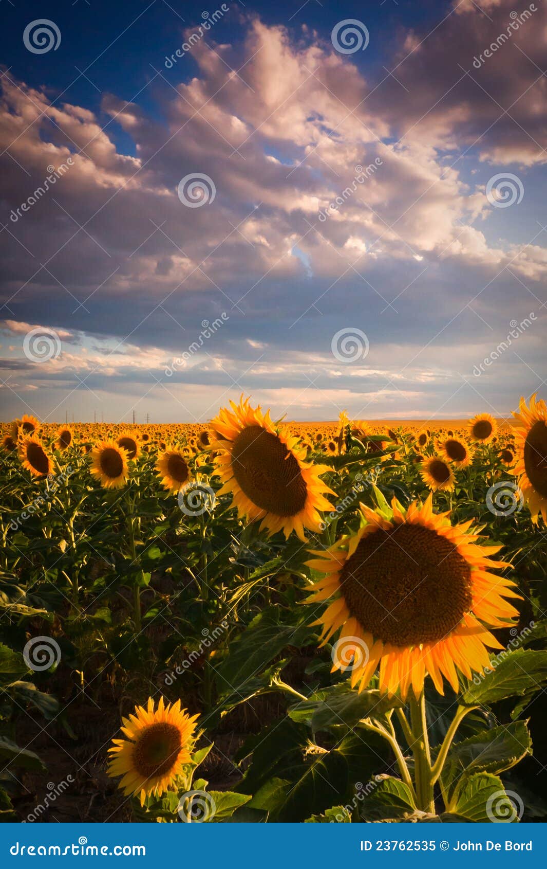 Colors of an August Summer Sky Stock Image - Image of illuminated ...