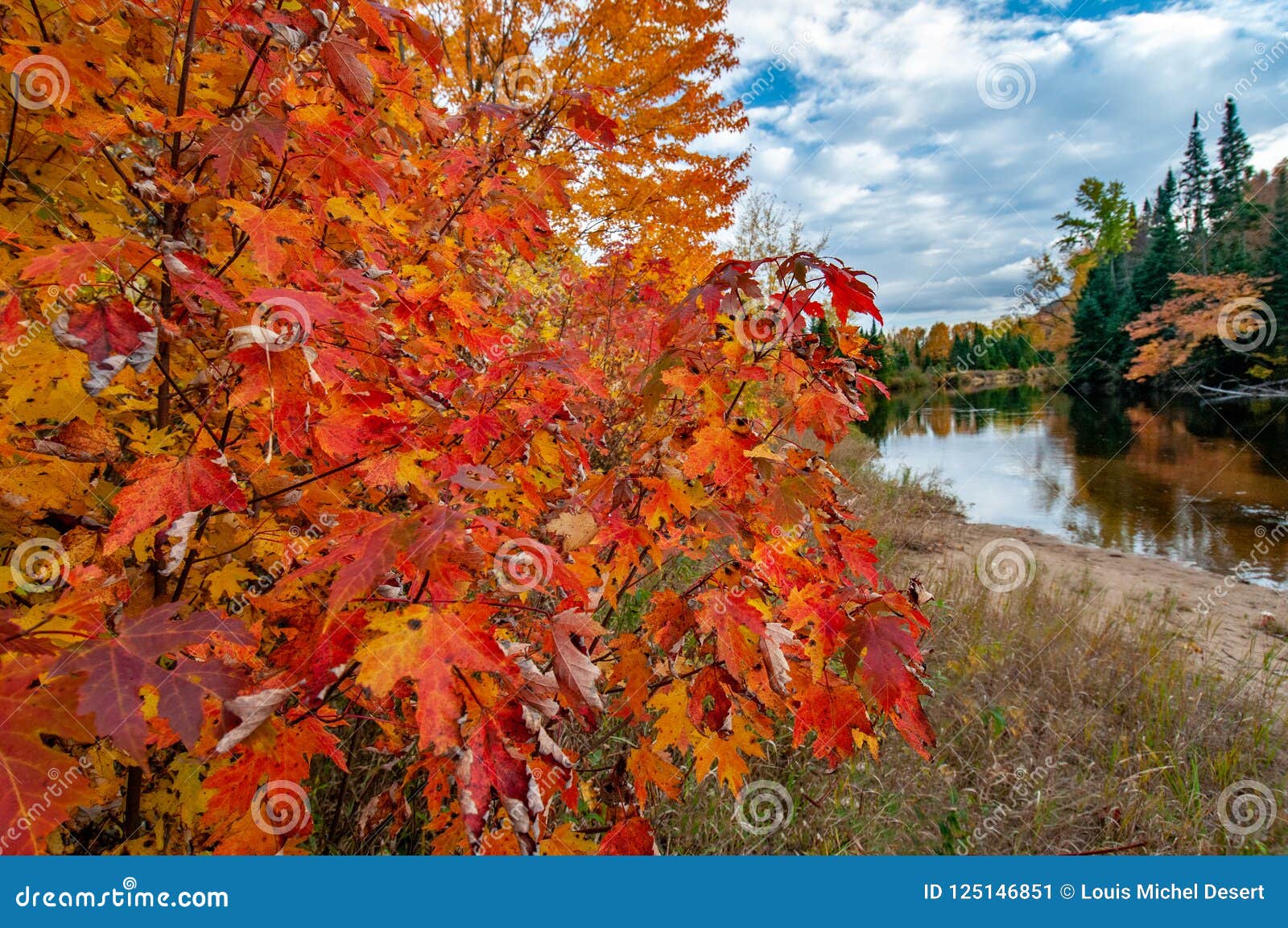 Colors of Autumn in Canada stock image. Image of environment - 125146851