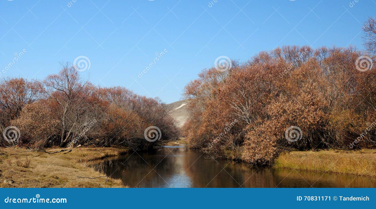 Colors of Autumn. Riverside Stock Image - Image of bright, healthy ...