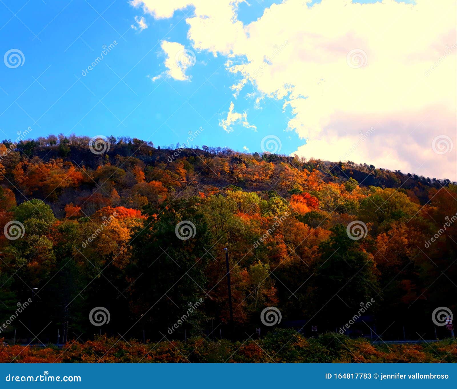 The colors of autumn stock image. Image of trees, clouds - 164817783