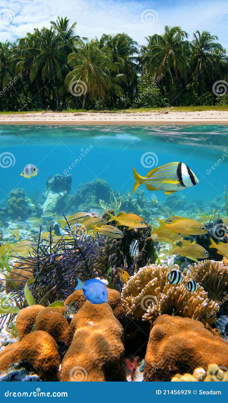Colors of Caribbean sea stock image. Image of colombia - 21456929