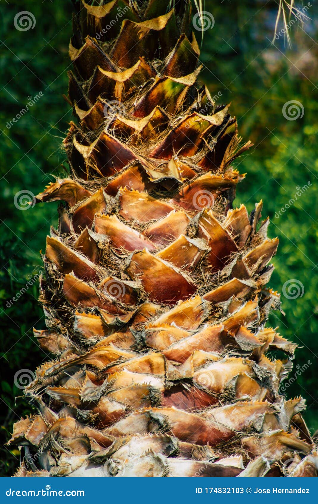 Colors of Cyprus stock image. Image of cyprus, nature - 174832103