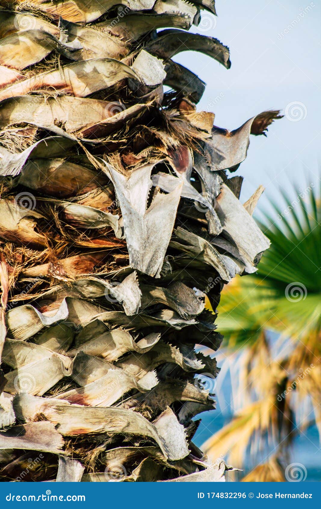 Colors of Cyprus stock photo. Image of wild, city, beauty - 174832296