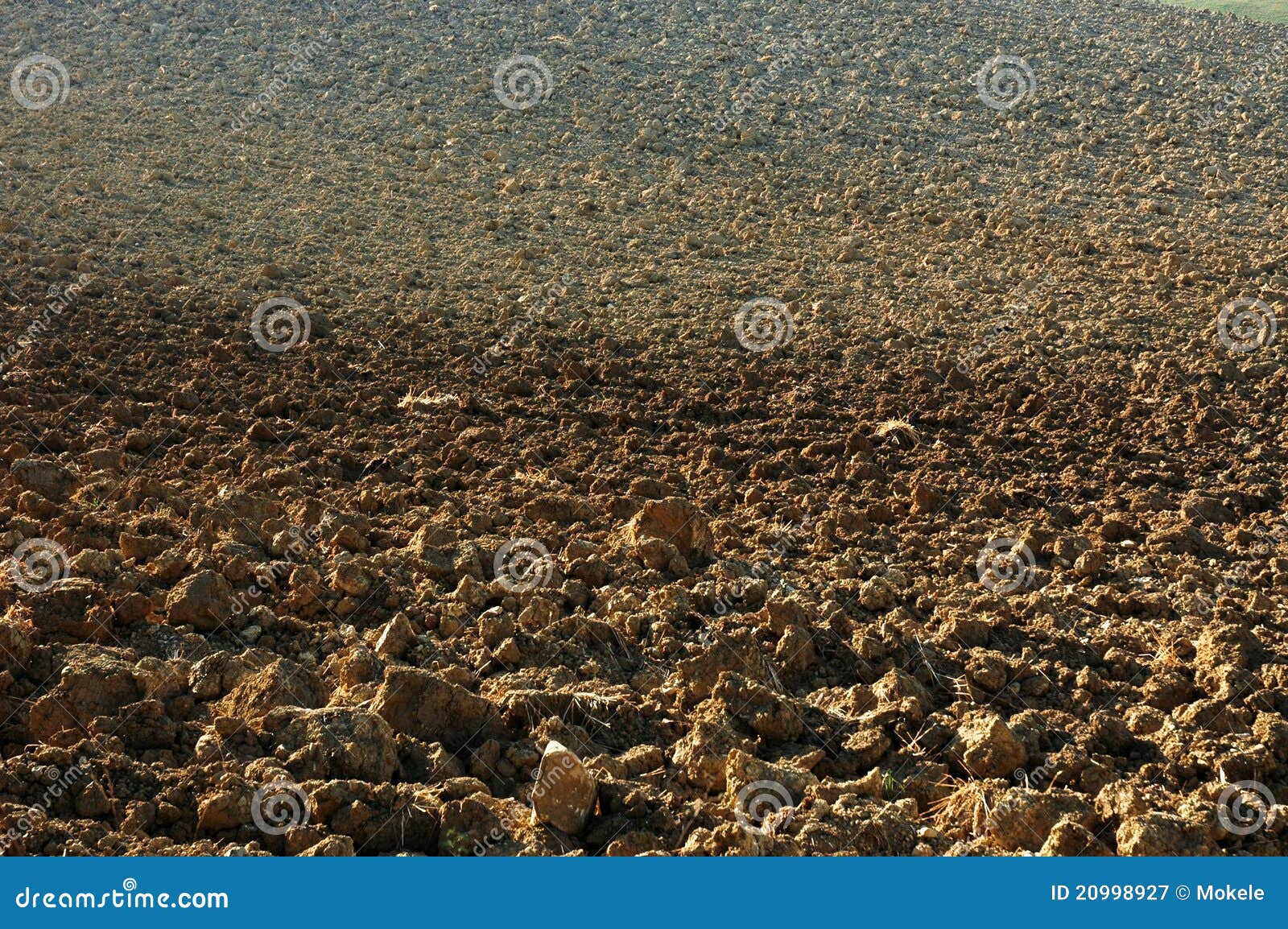 Colors of earth stock image. Image of field, plowed, colors - 20998927