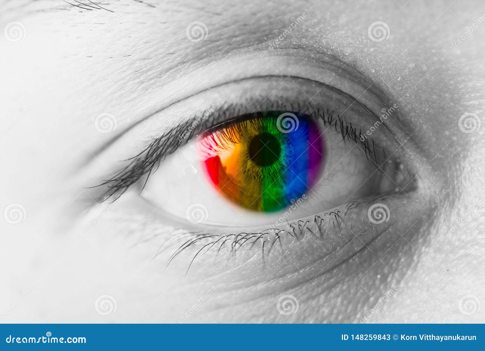 1,666 Lgbt Eyes Stock Photos - Free & Royalty-Free Stock Photos from ...