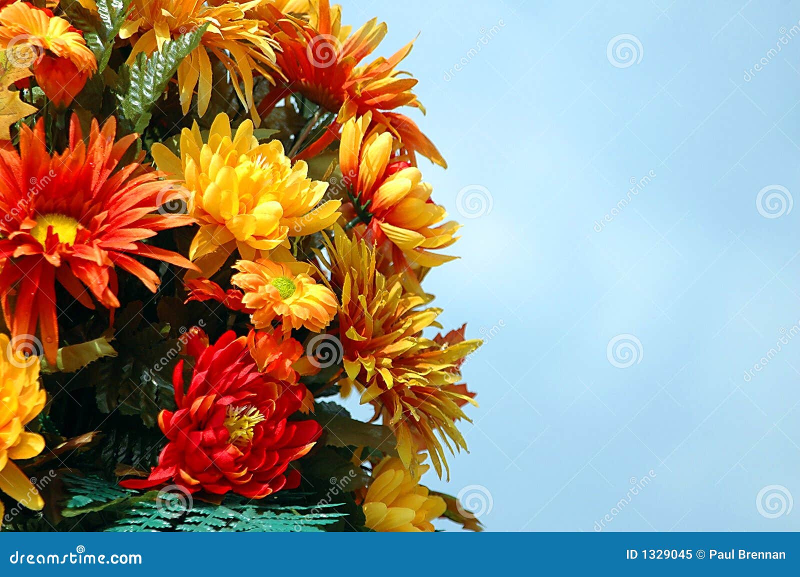 Colors of Fall Flowers stock image. Image of perennial - 1329045