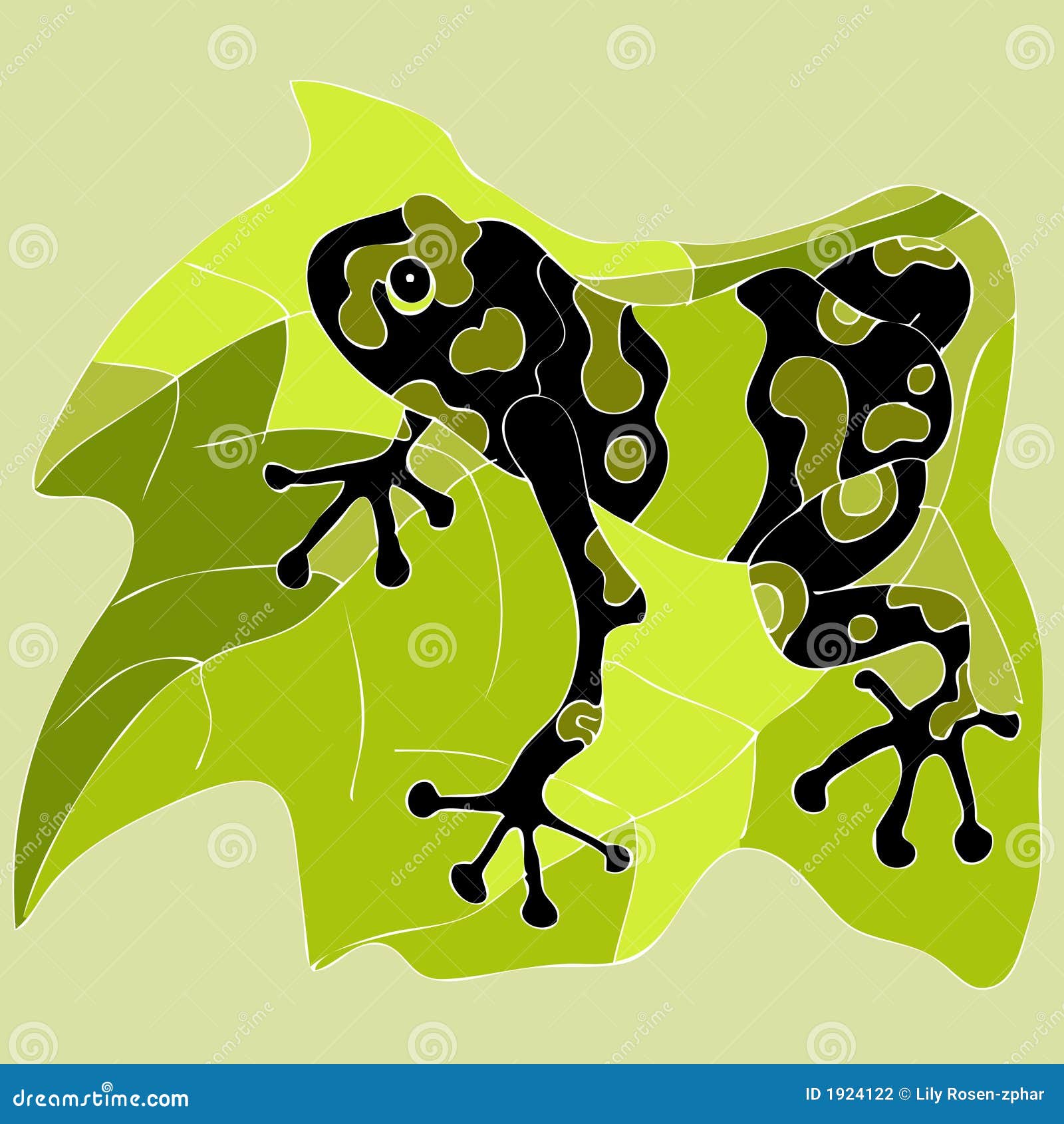 Colors frog 2 stock vector. Illustration of south, green - 1924122