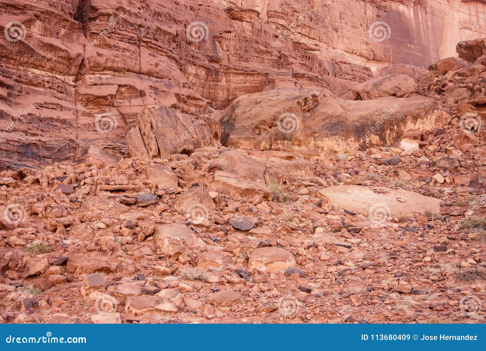Colors of Jordan stock image. Image of color, bush, landscape - 113680409
