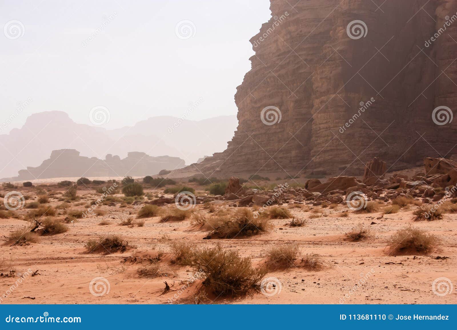 Colors of Jordan stock photo. Image of color, bush, mountain - 113681110