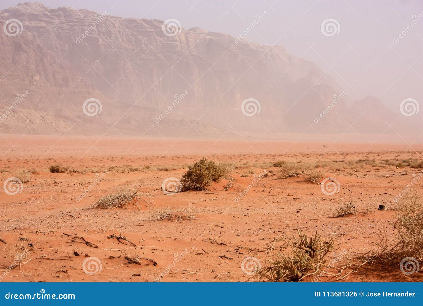 Colors of Jordan stock photo. Image of jordan, detail - 113681326
