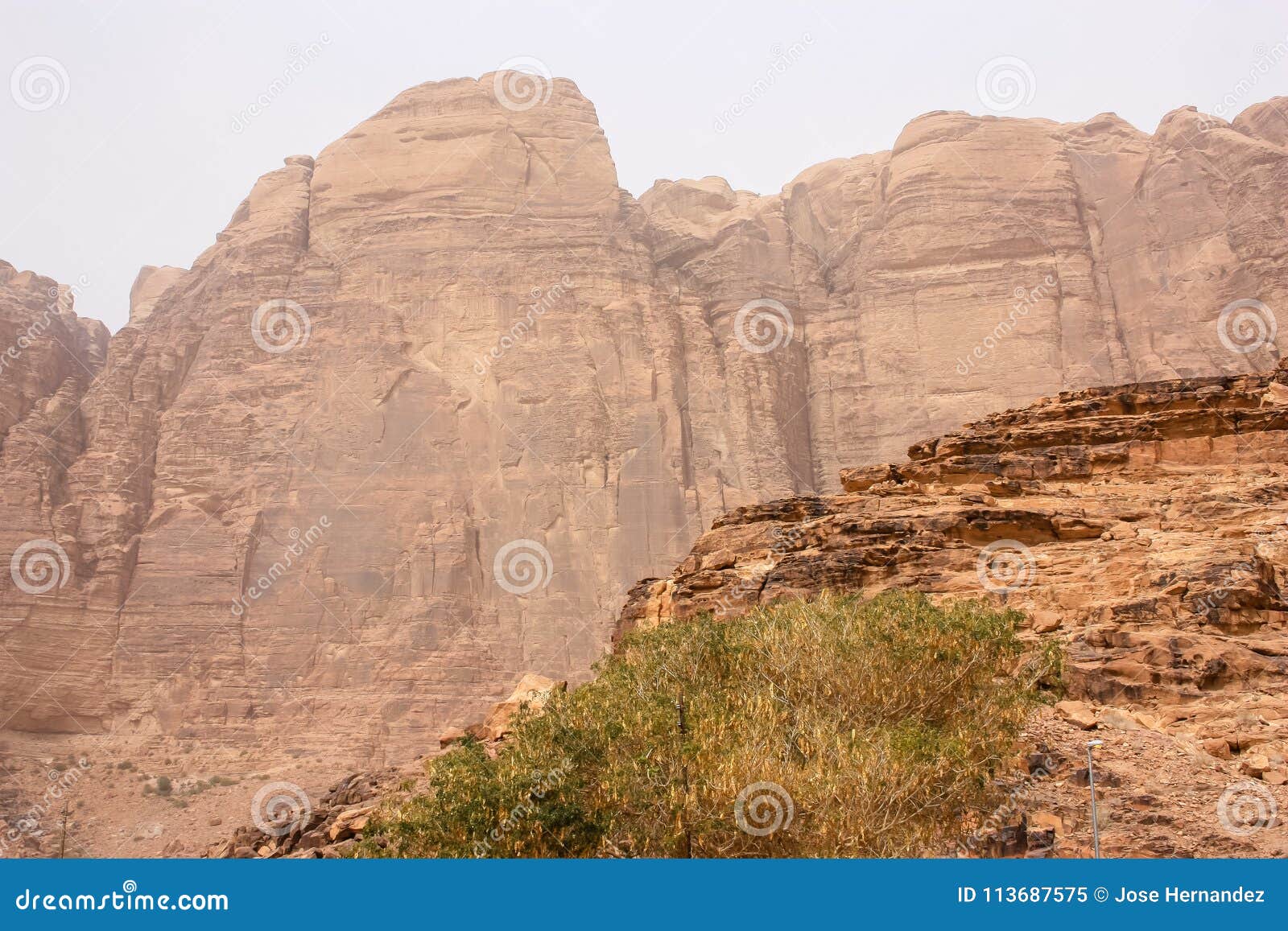 Colors of Jordan stock image. Image of bush, colors - 113687575