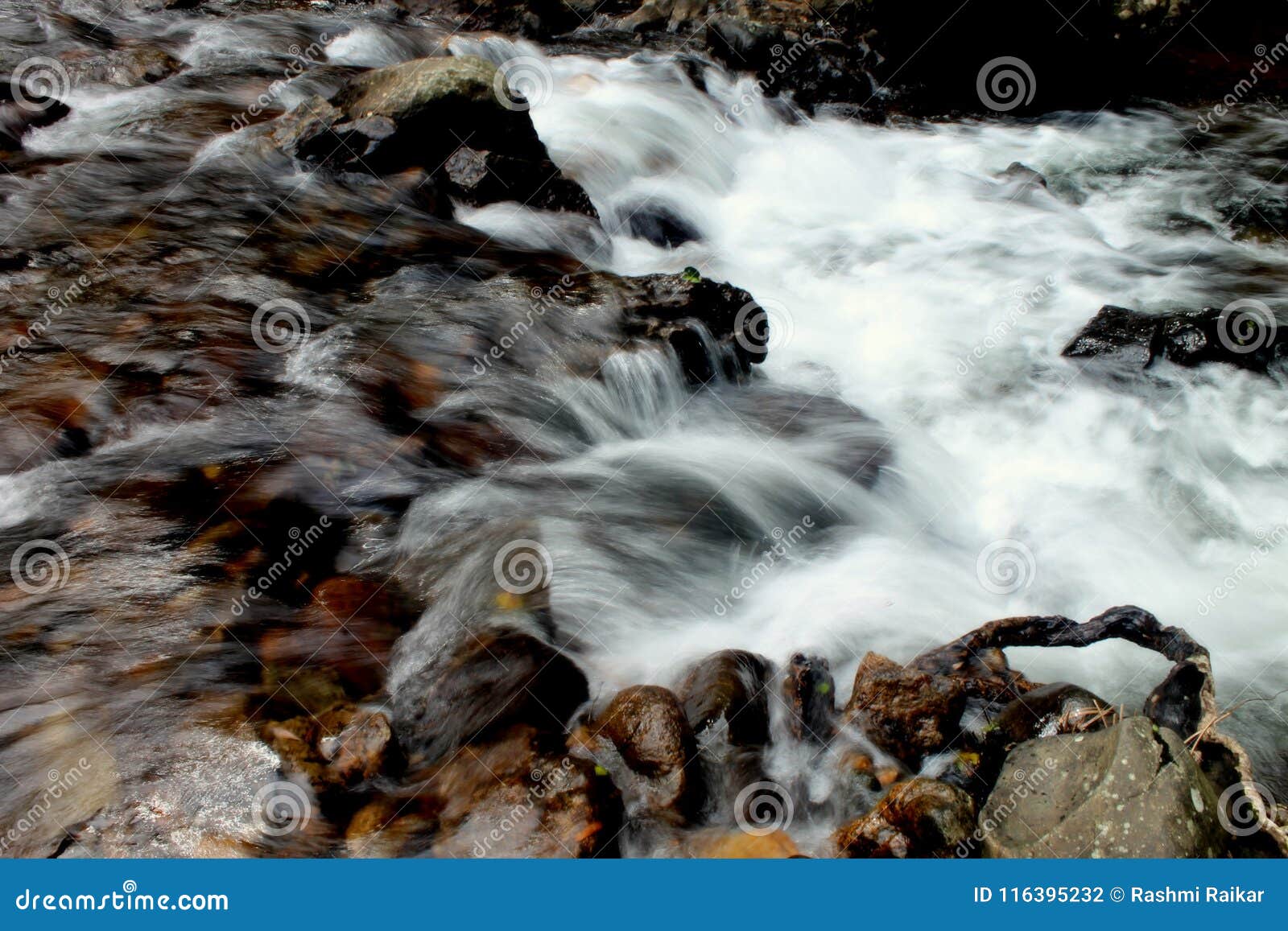 Water flow stock photo. Image of bright, budget, flowers - 116395232