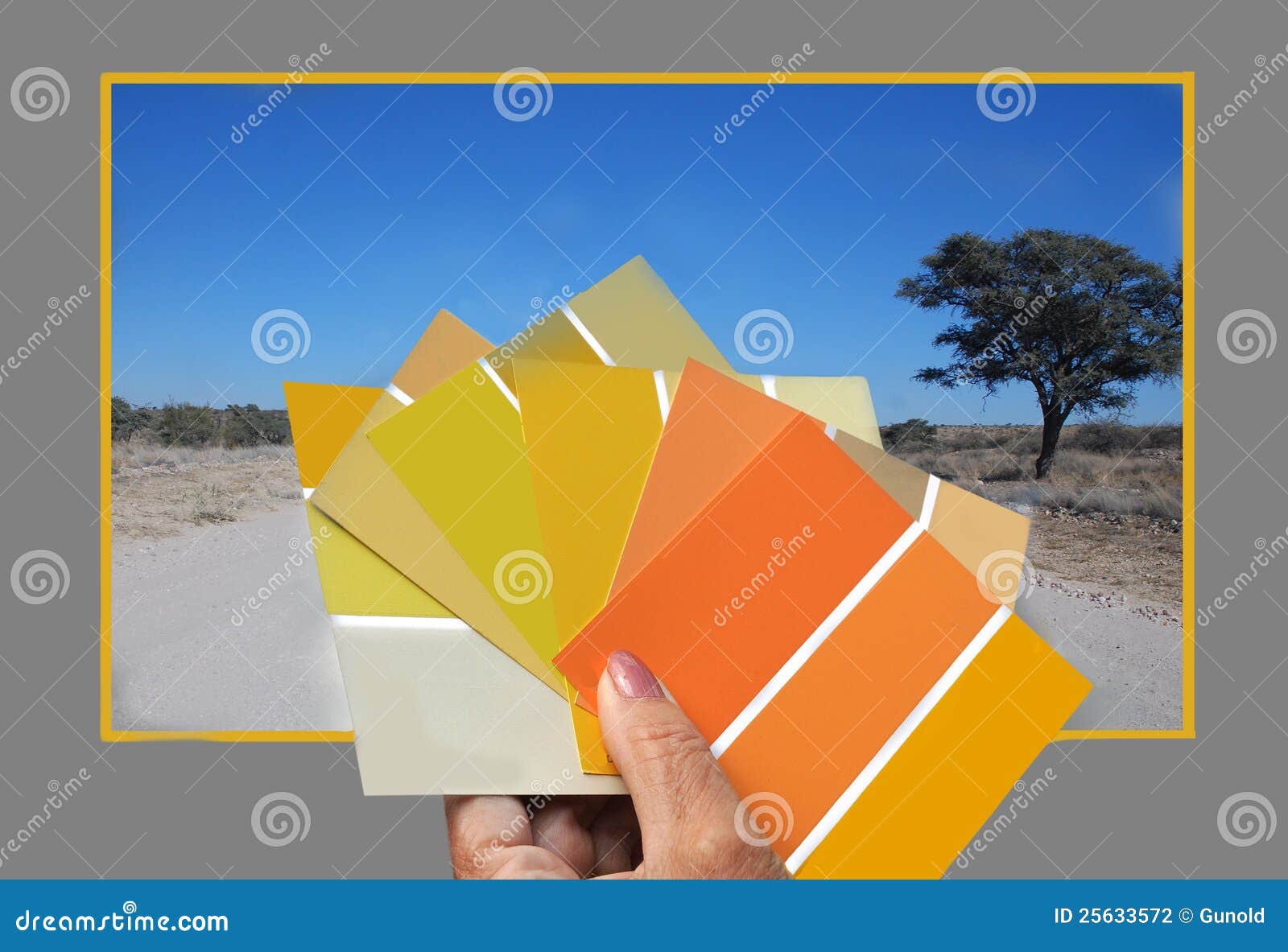 Colors of Namibia stock photo. Image of hold, colorful - 25633572