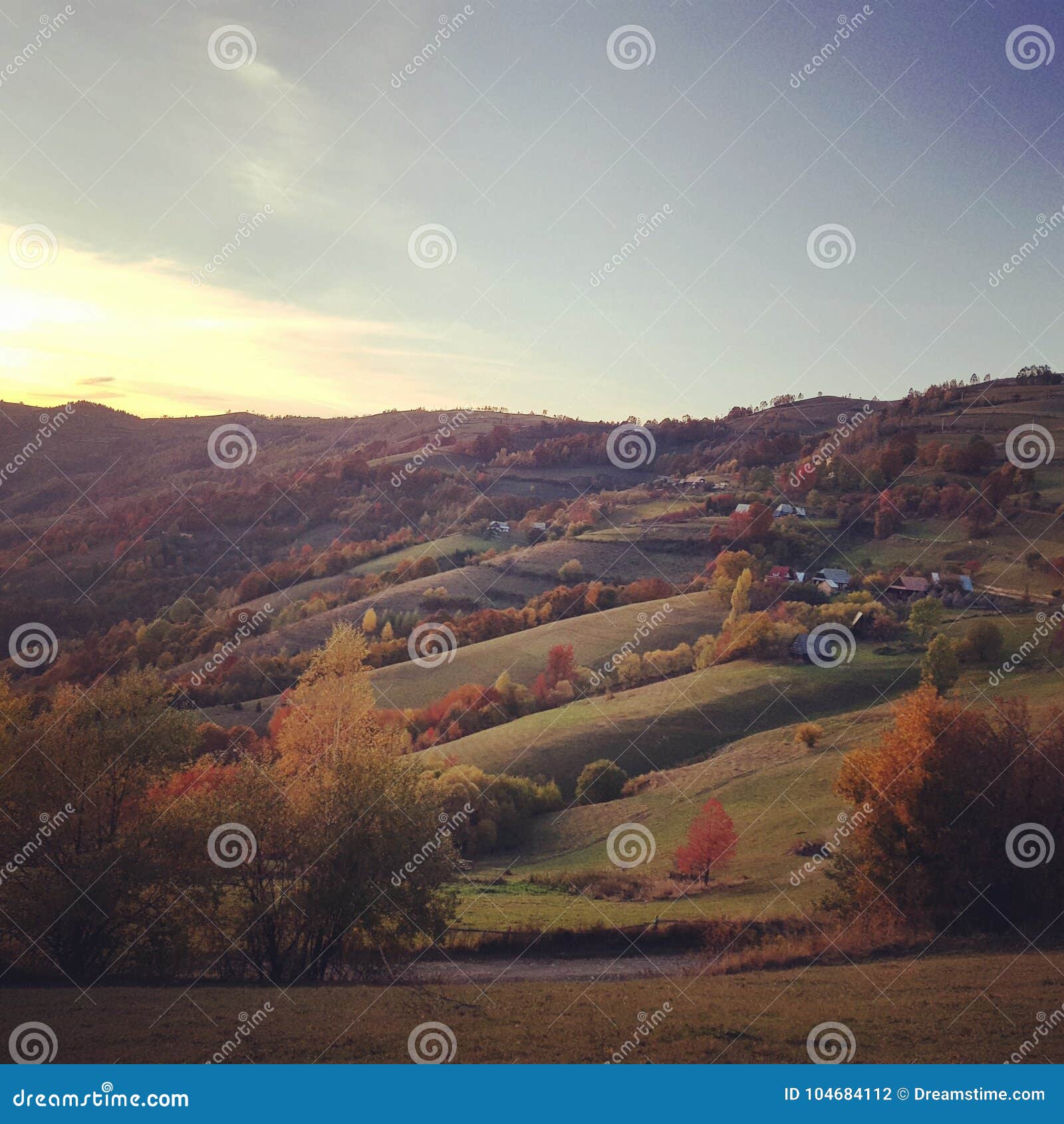 Autumn stock photo. Image of nature, autumn, tree, colors - 104684112