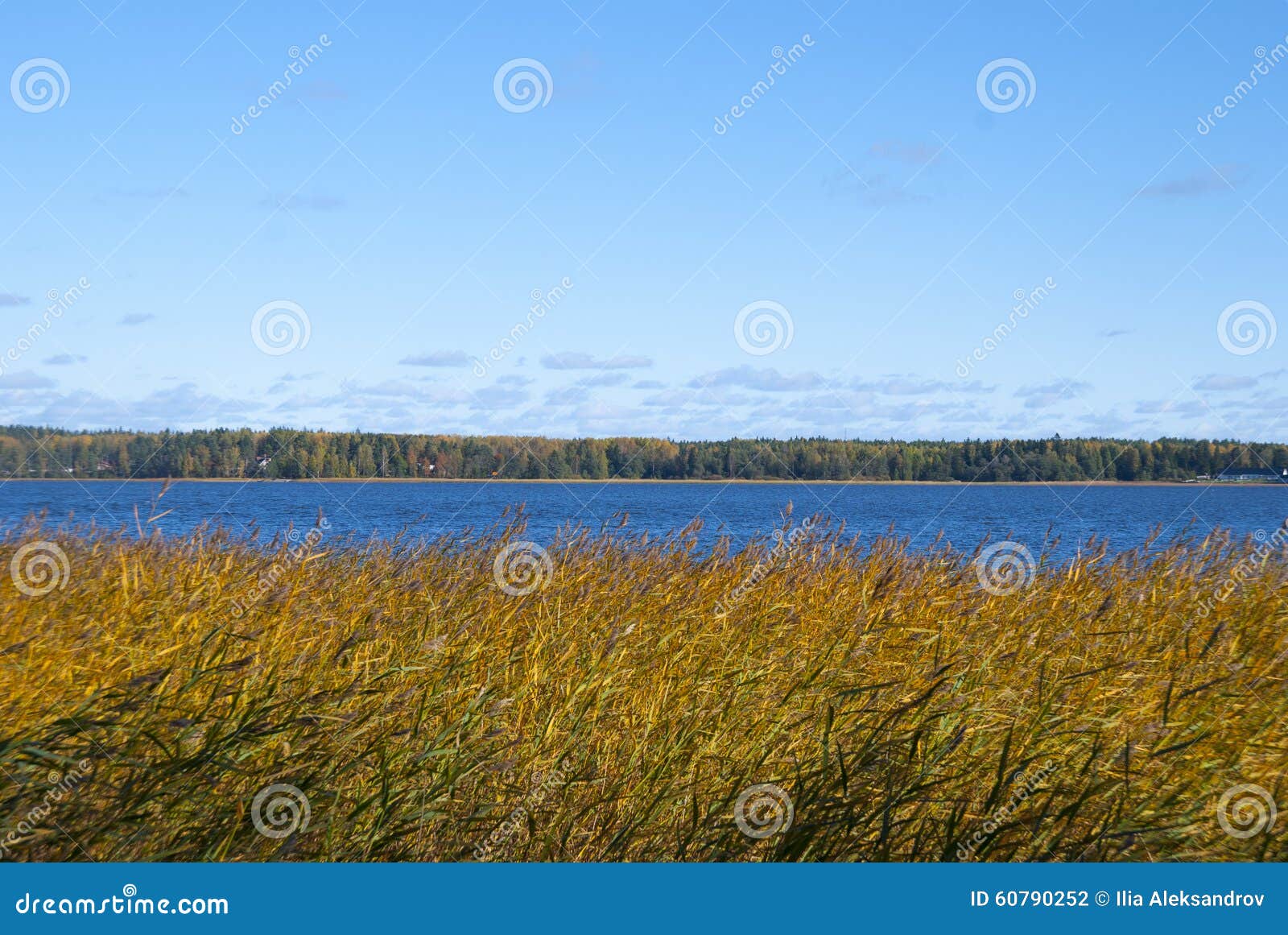 Colors of Nature. at the Blue Lake Background. Stock Photo - Image of ...