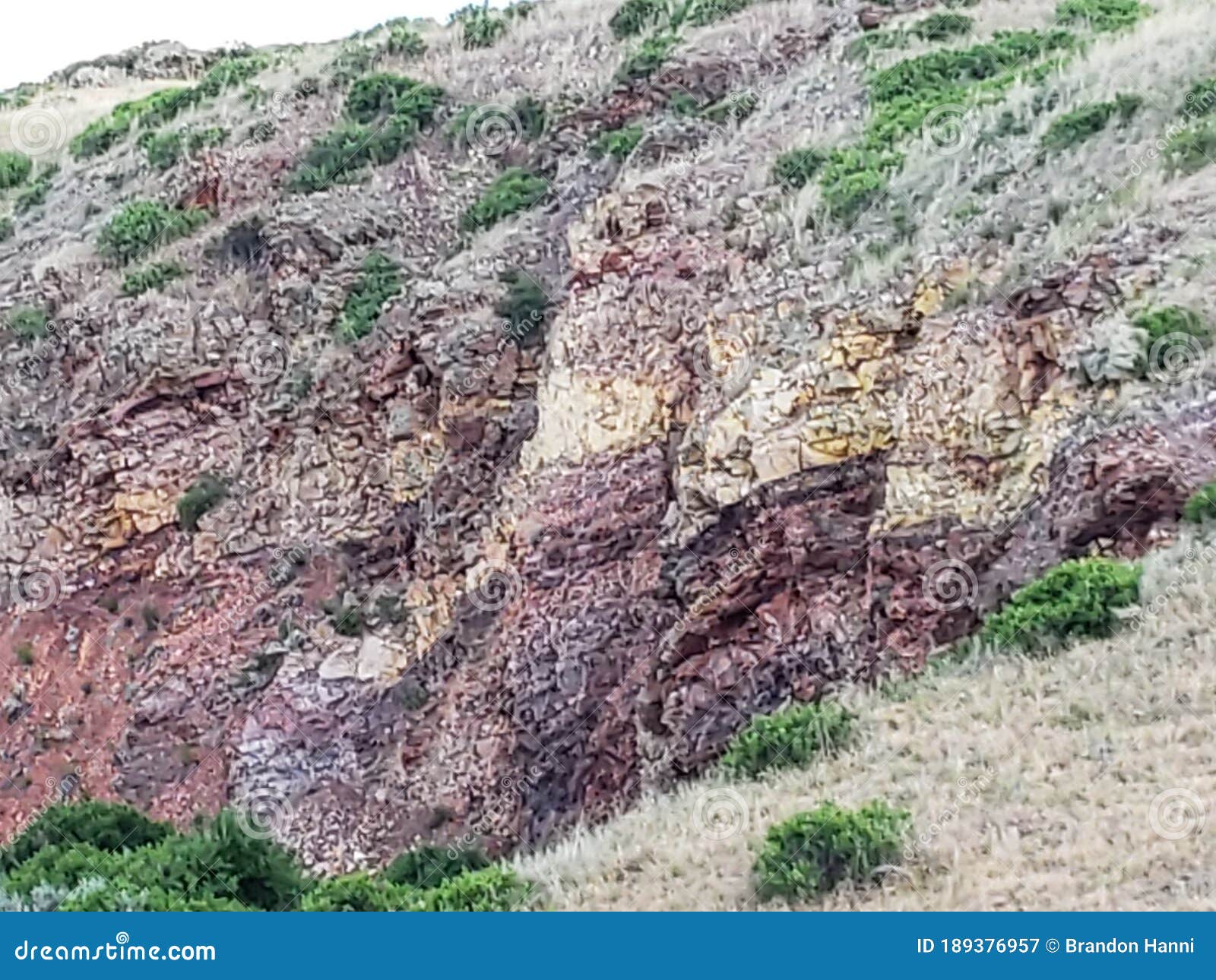 Colors of Nature in the Raw Stock Image - Image of prairie, country ...