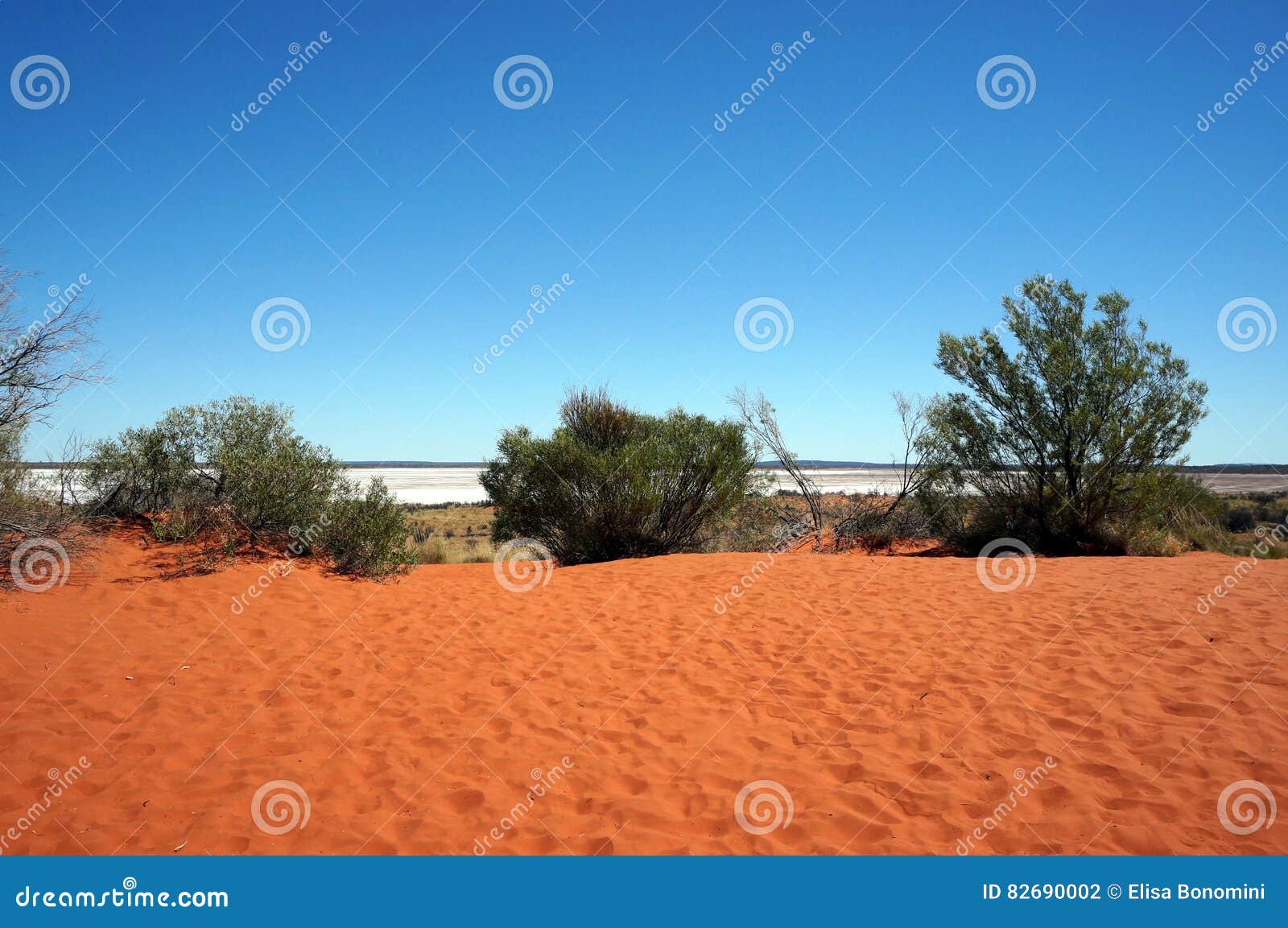 Colors of the Outback stock photo. Image of background - 82690002