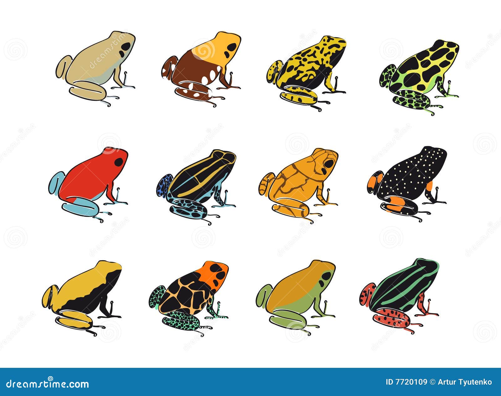 Colors And Patterns Of Poison-dart Frogs Royalty Free Stock Images ...
