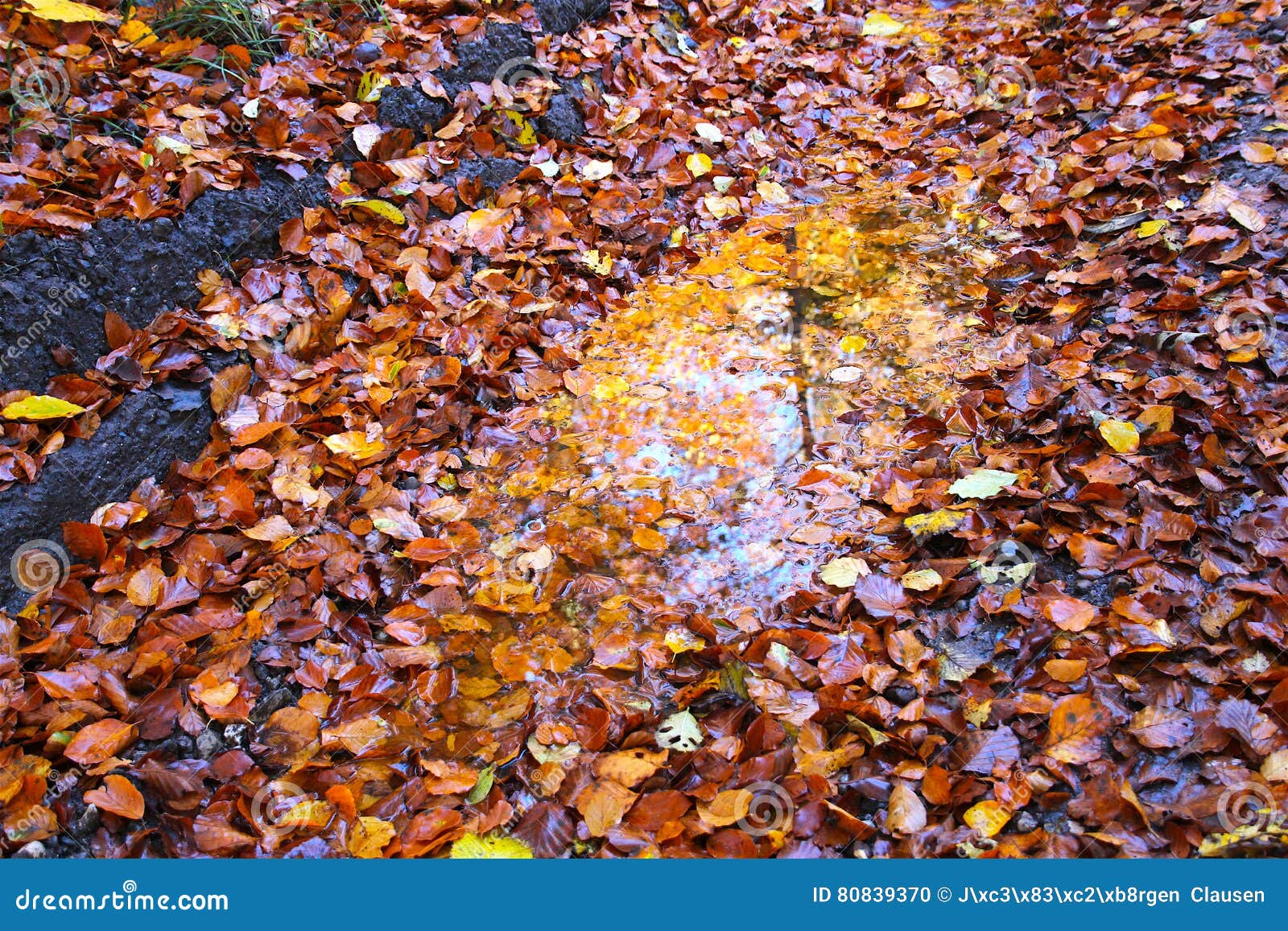 Colors in the puddle stock photo. Image of sunlight, yellow - 80839370