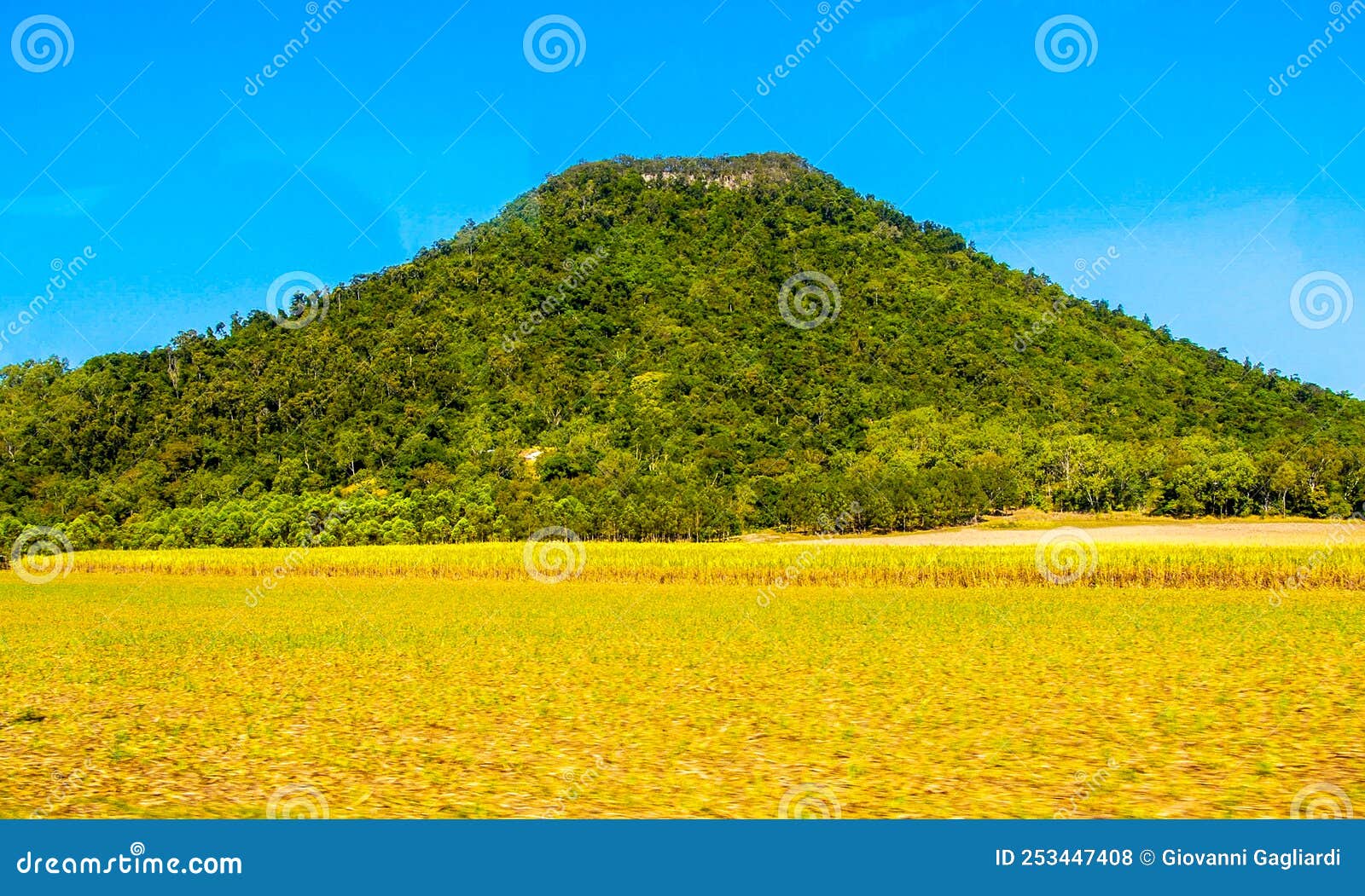 Colors of Queensland Countryside, Australia Stock Photo - Image of ...