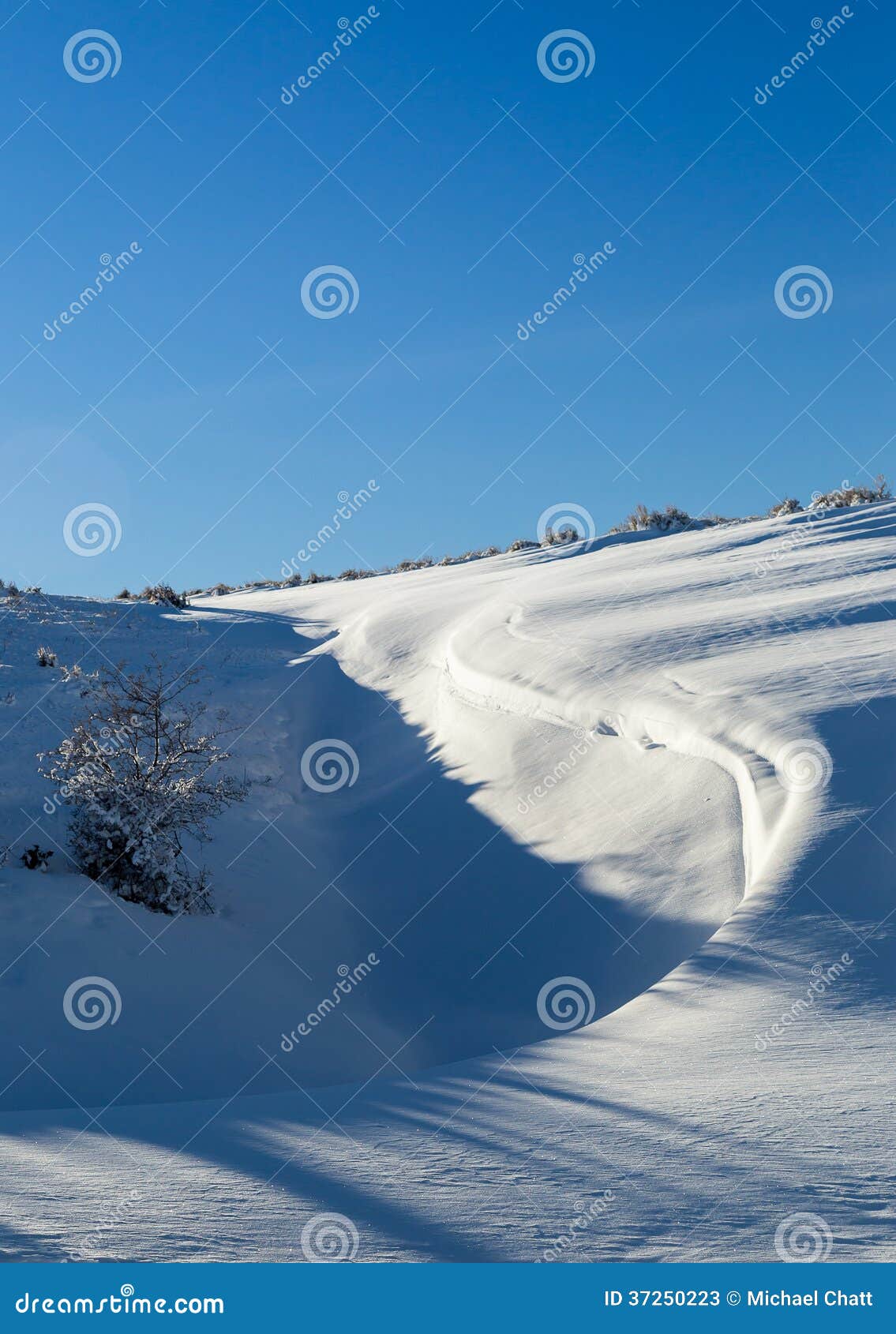 The Colors of Snow stock image. Image of texture, prairie - 37250223